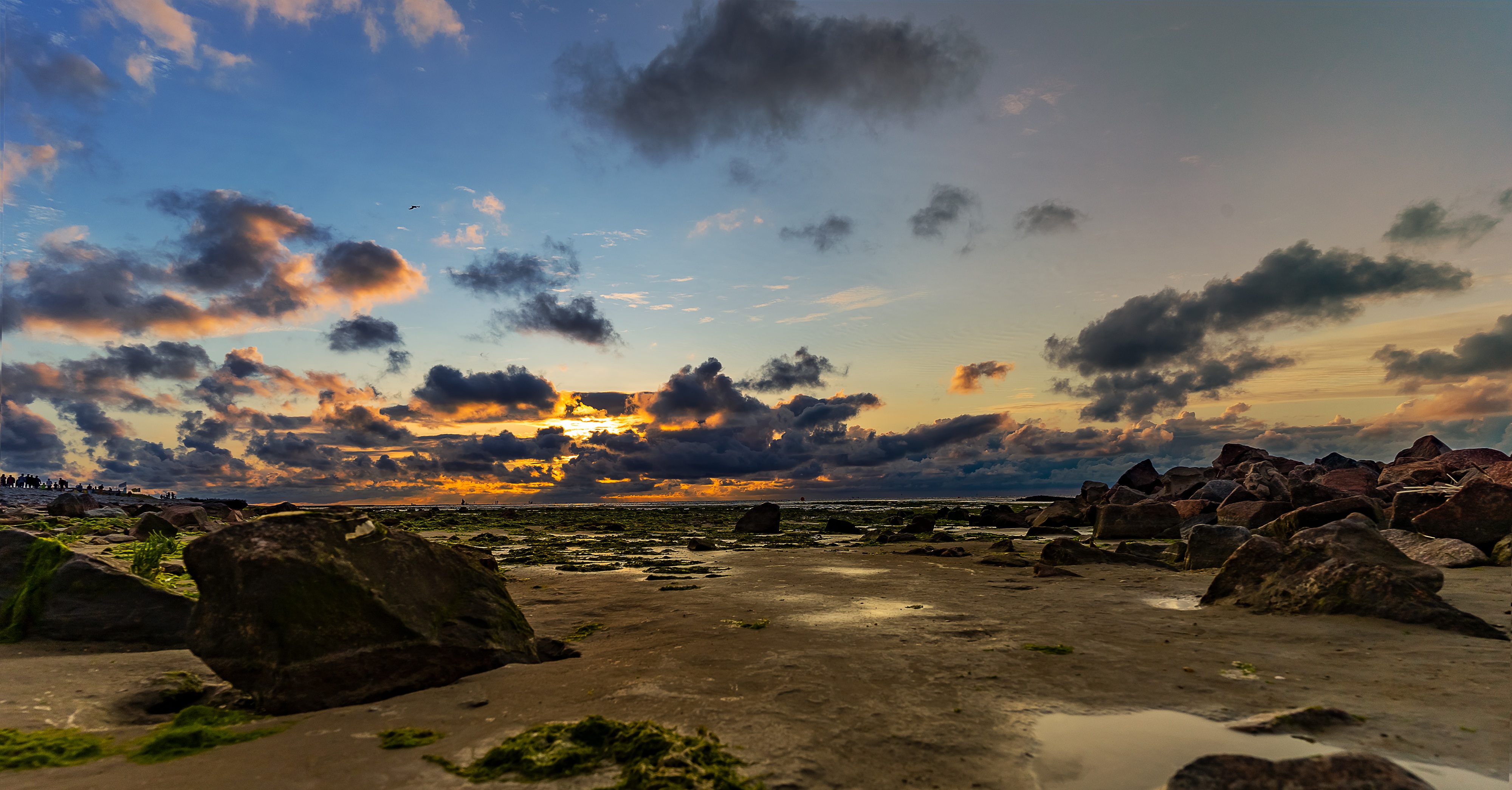 Nature Sunset mood free image download