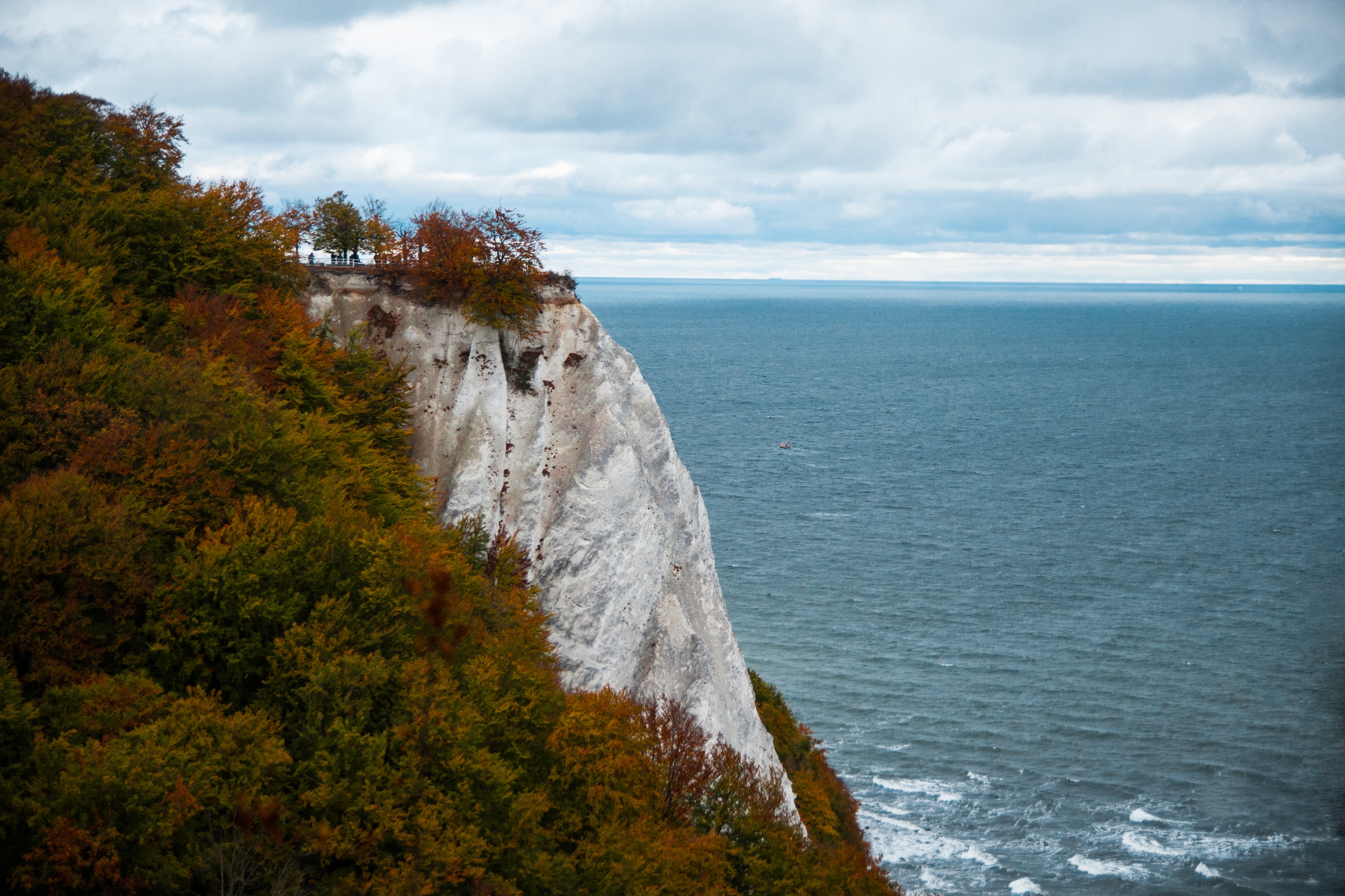 White Cliffs trees Baltic Sea free image download
