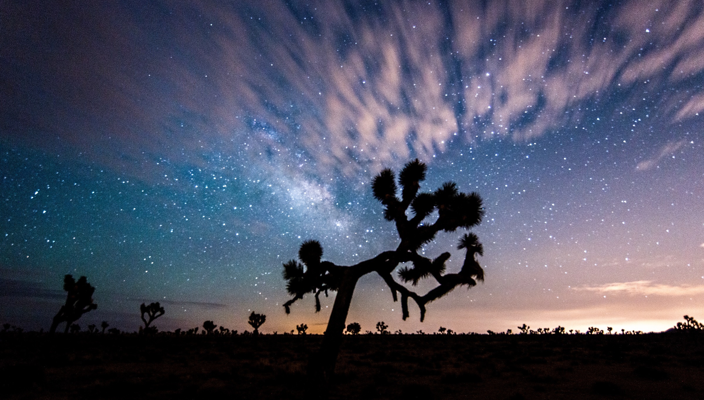 Joshua Tree Sunset Landscape free image download