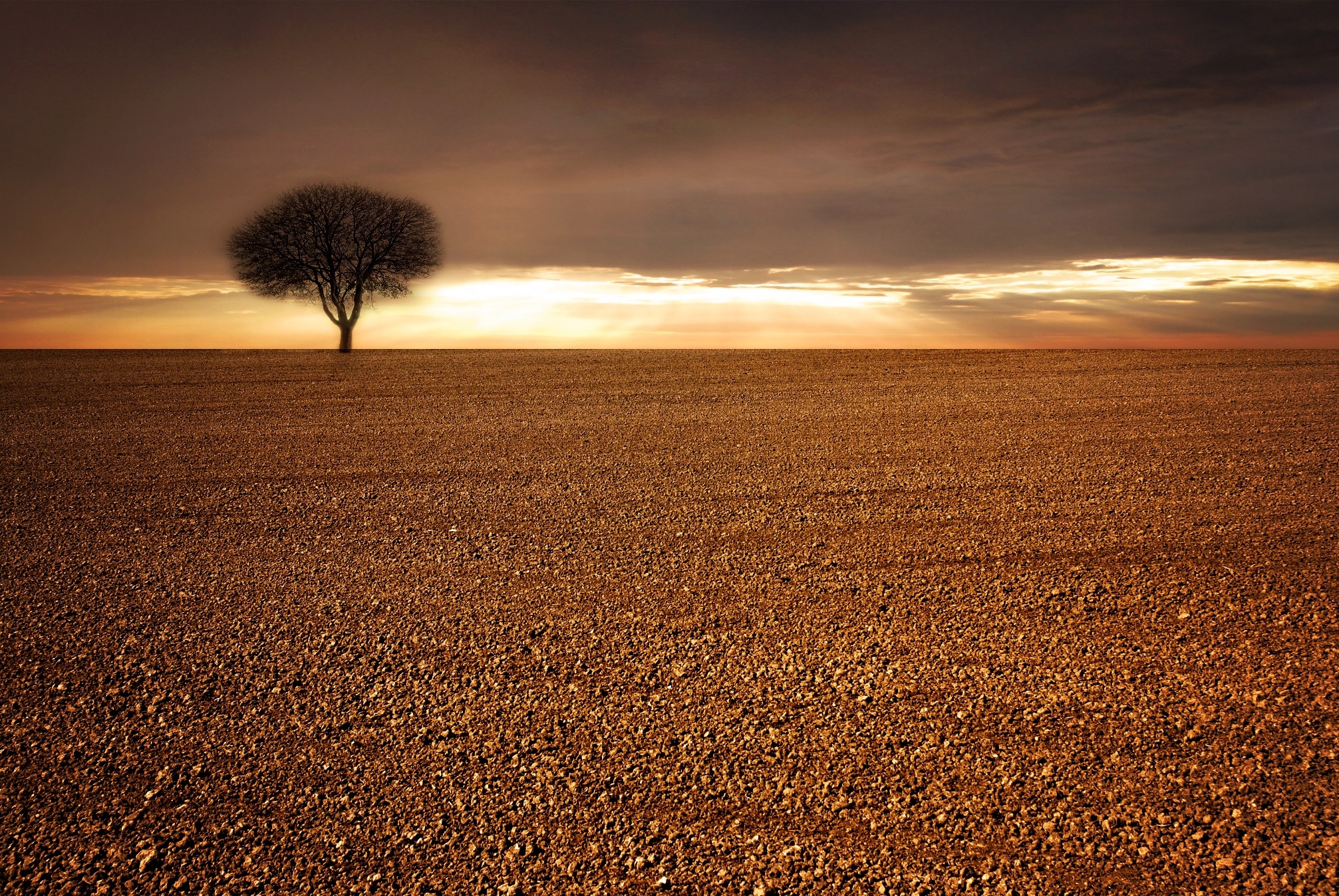 Landscape Field Arable free image download