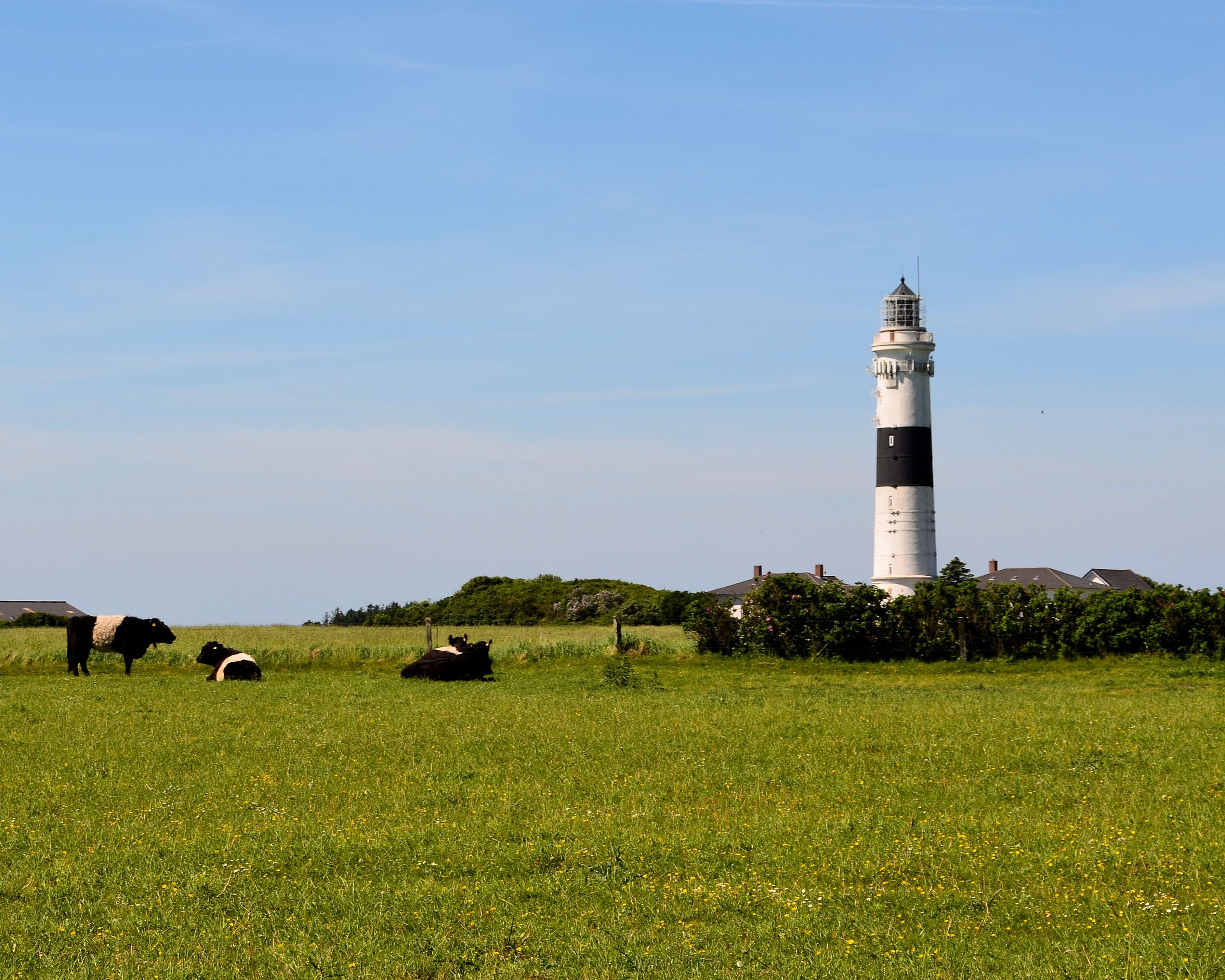 Sylt Lighthouse Kampen free image download