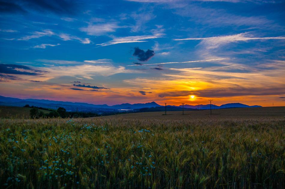 West Sun Evening free image download