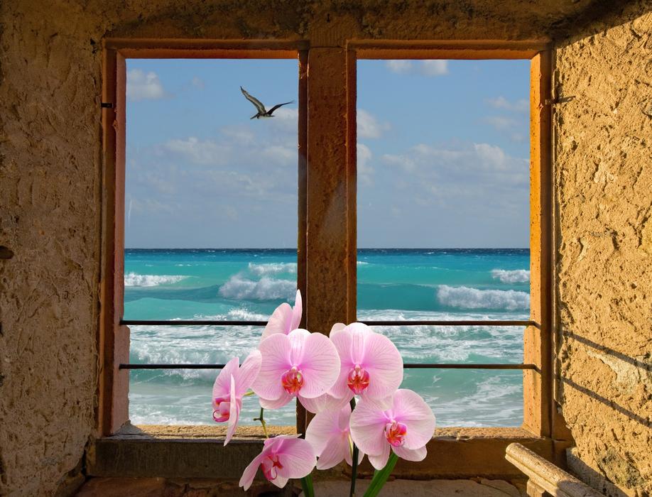 Landscape Window Lake free image download