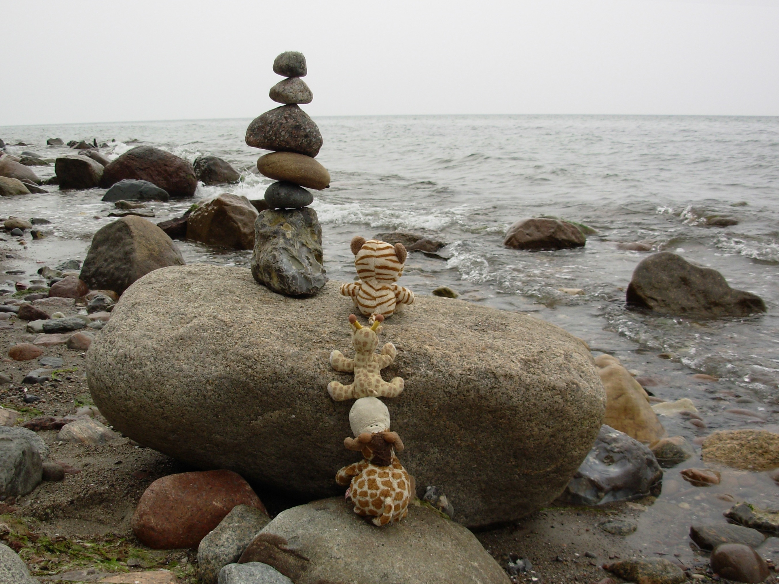 Friends The RobberS Head Stuffed free image download