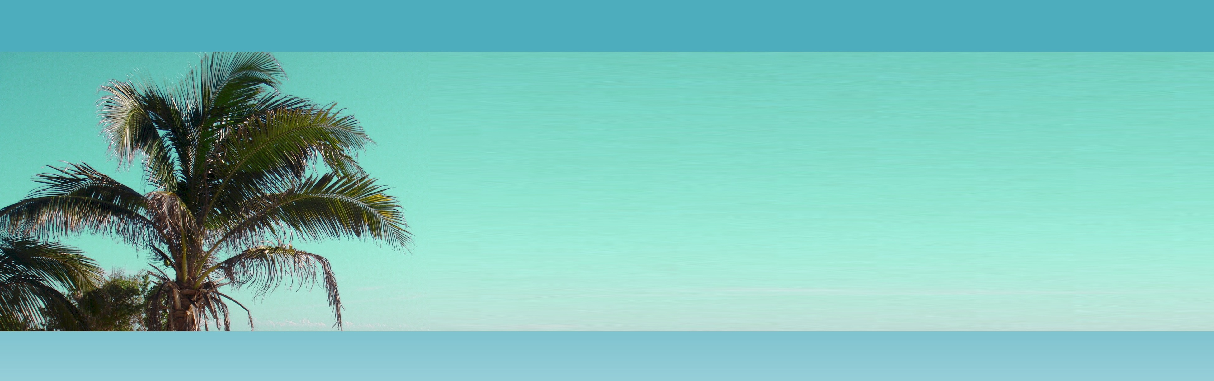 Banner header palm beach vacations free image download