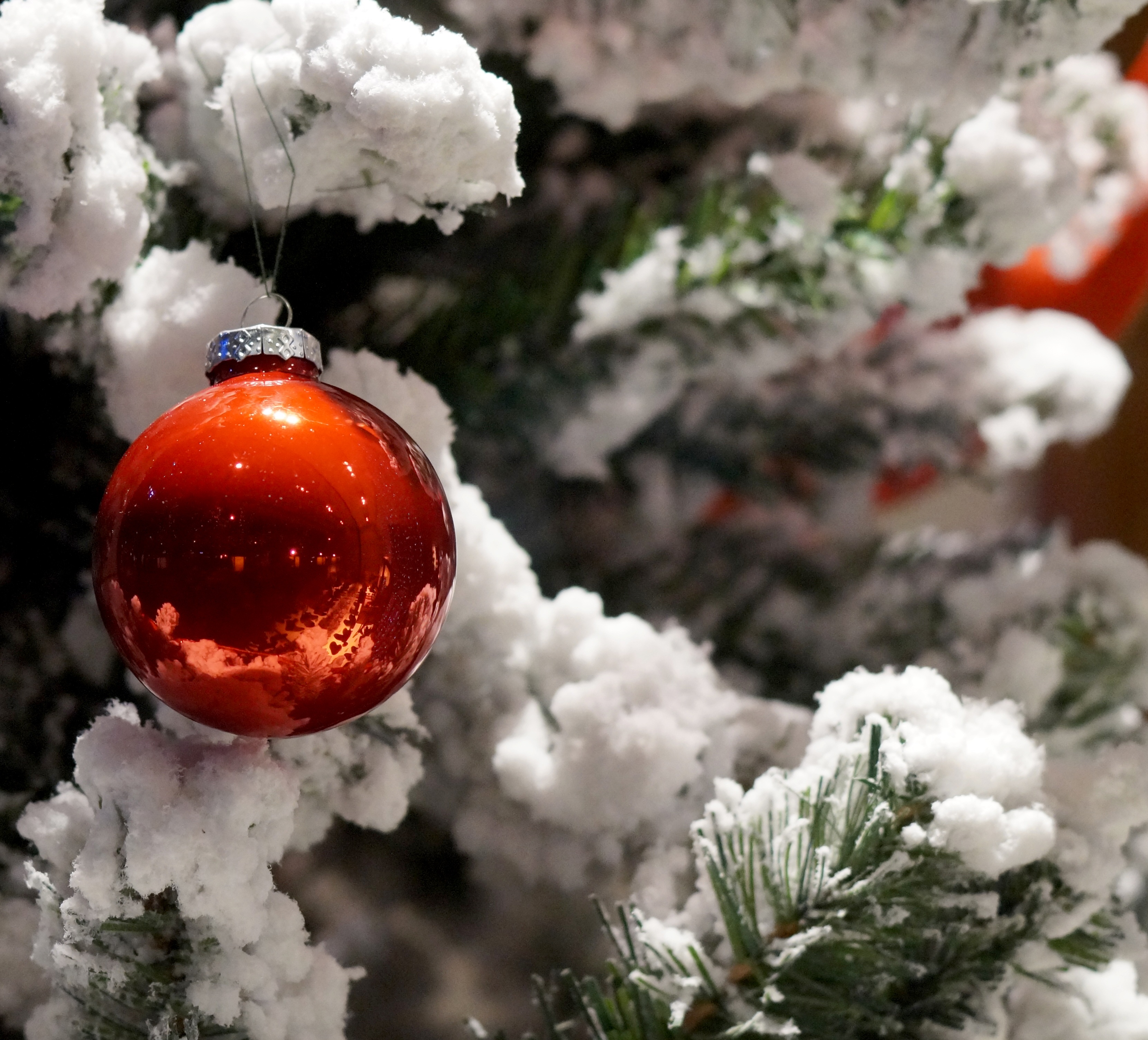 Christmas tree, snow, red ball free image download
