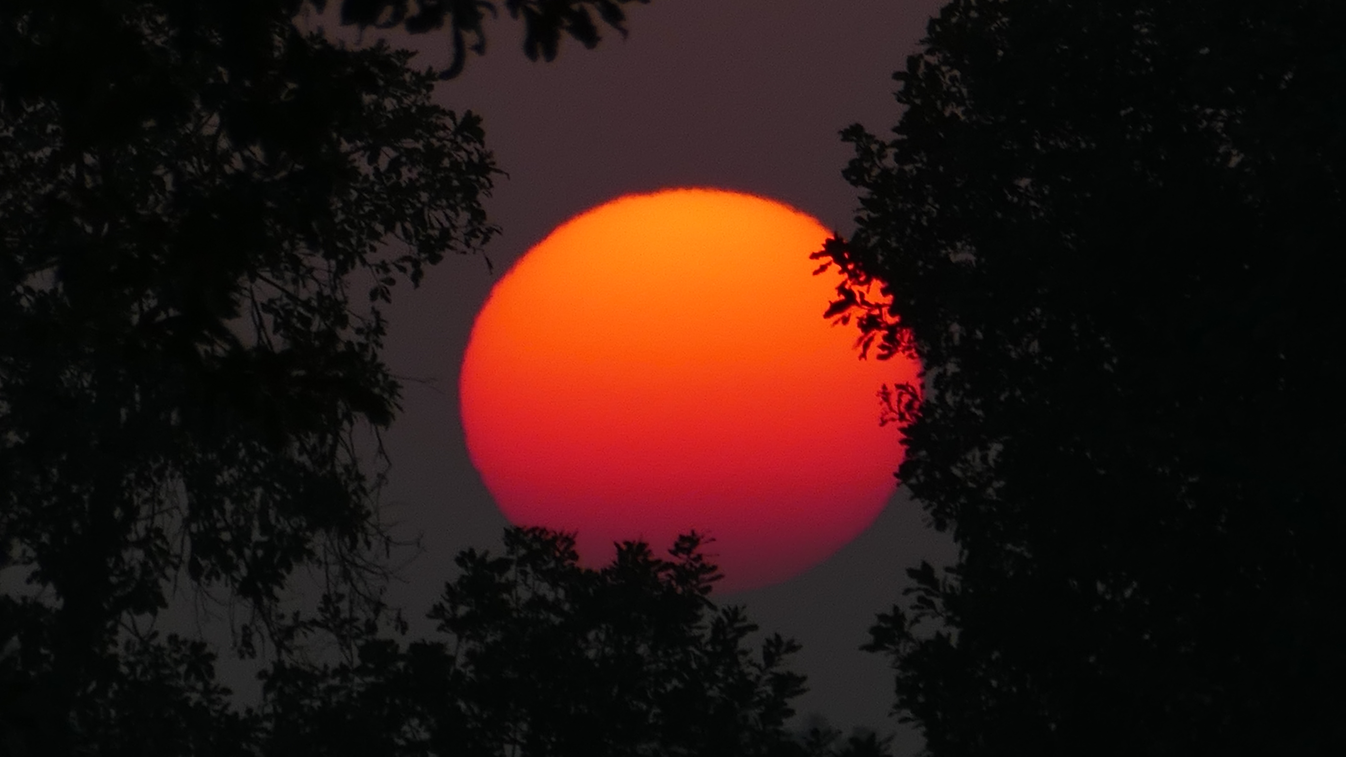 Sunset Red Sky free image download