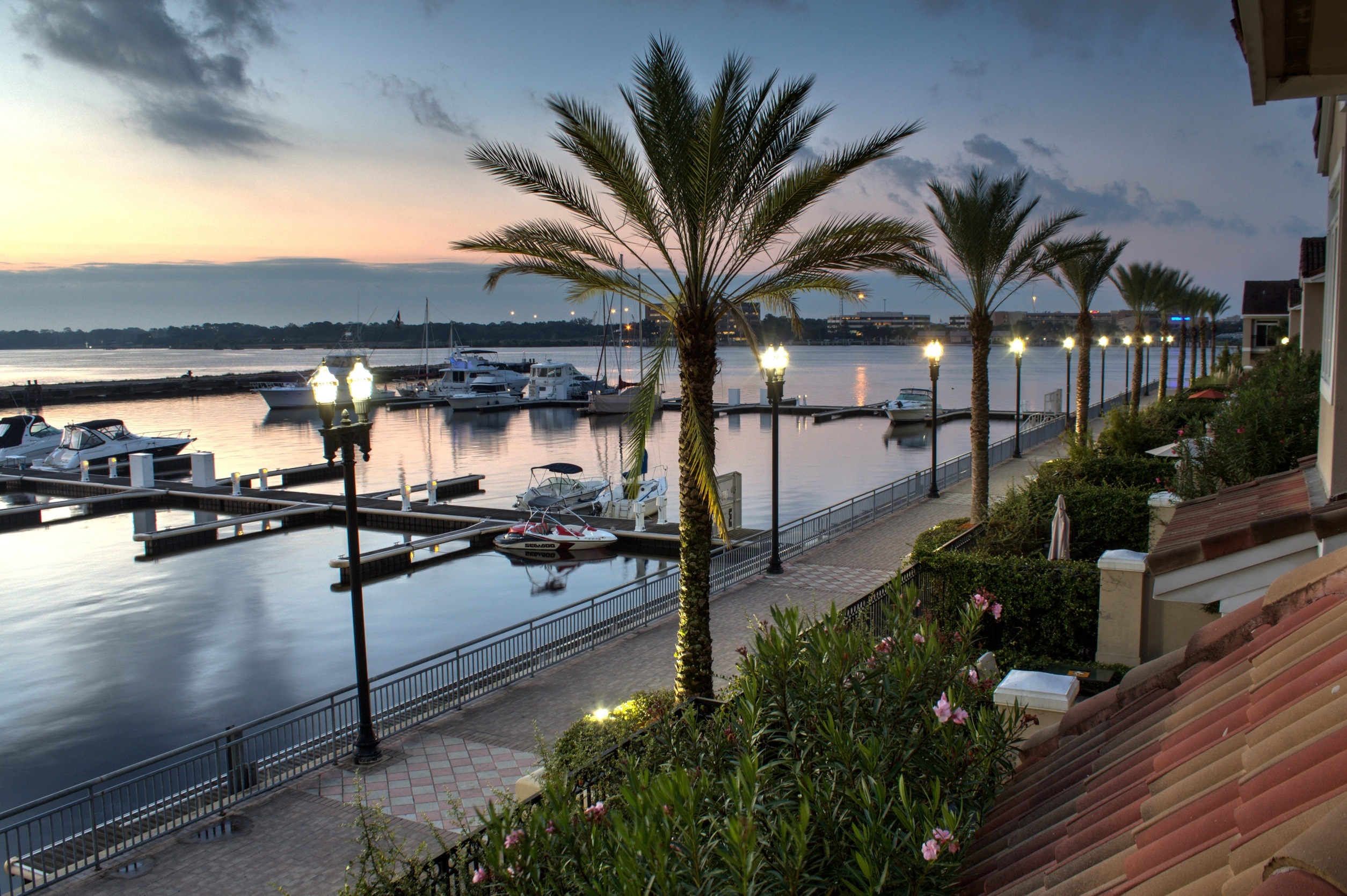Marina Boats Palm Trees free image download