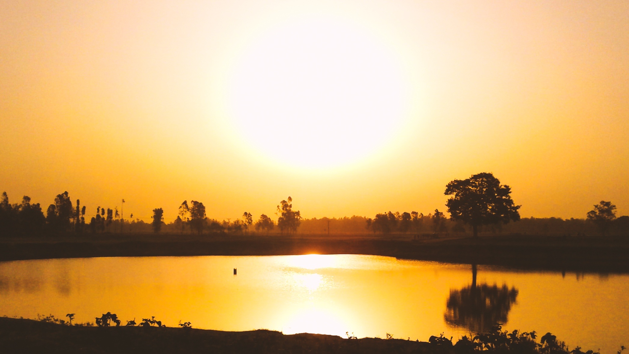 Sunset Golden Hour free image download