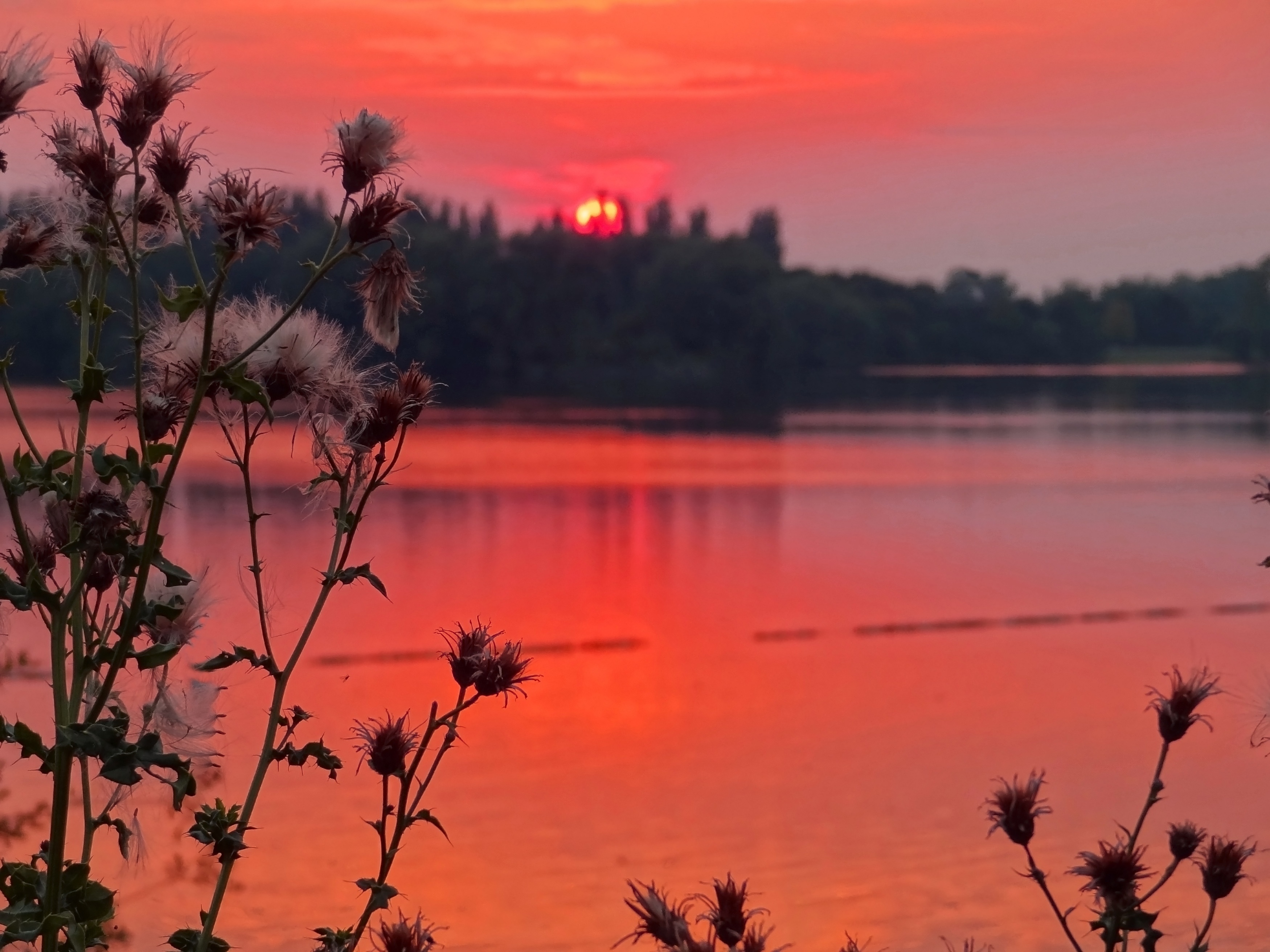 Sunset Thistle Lake free image download