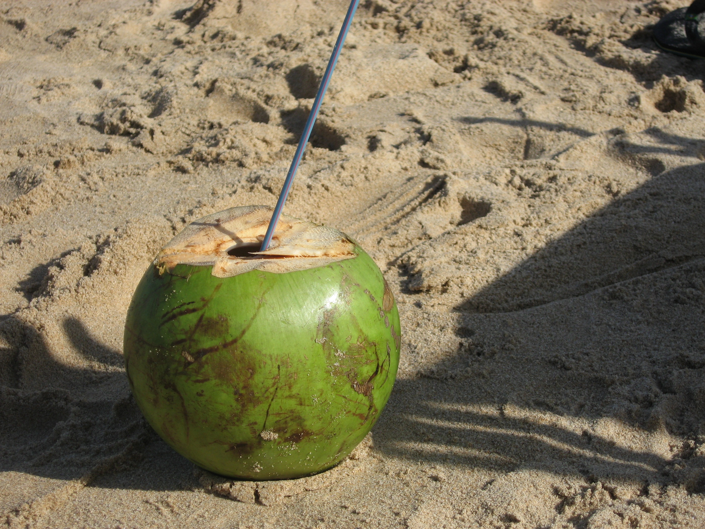 Coconut on sand Beach in Brazil free image download