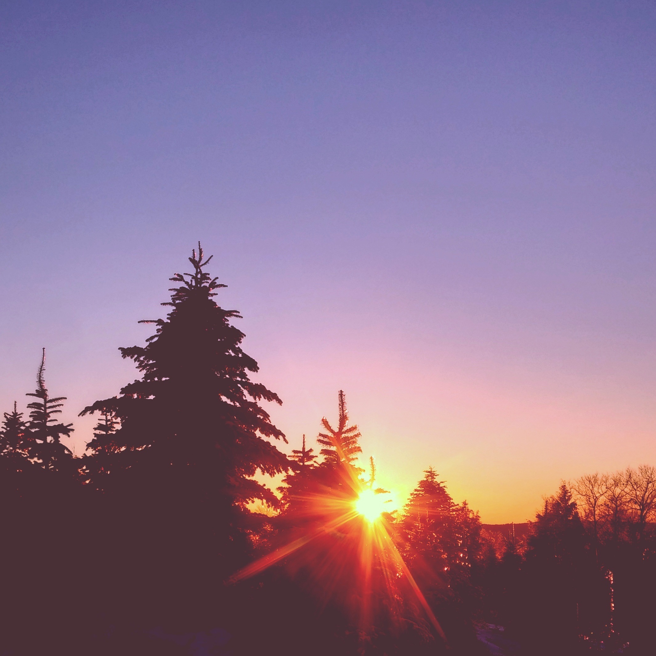 Purple Sky Sunset free image download
