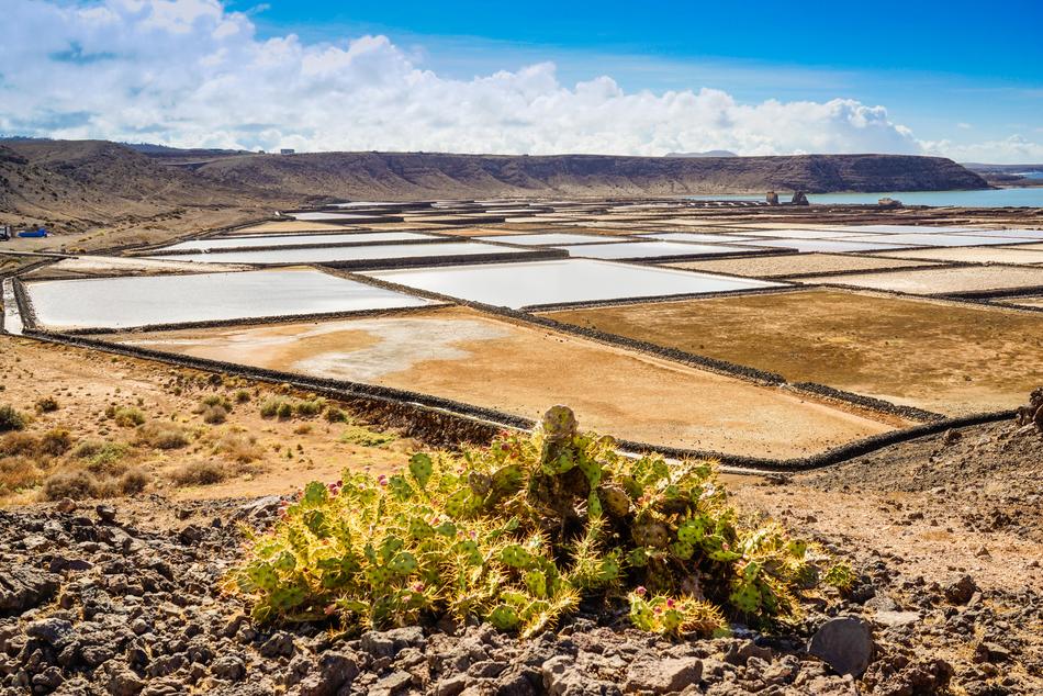 Landscape photo of salt pans free image download