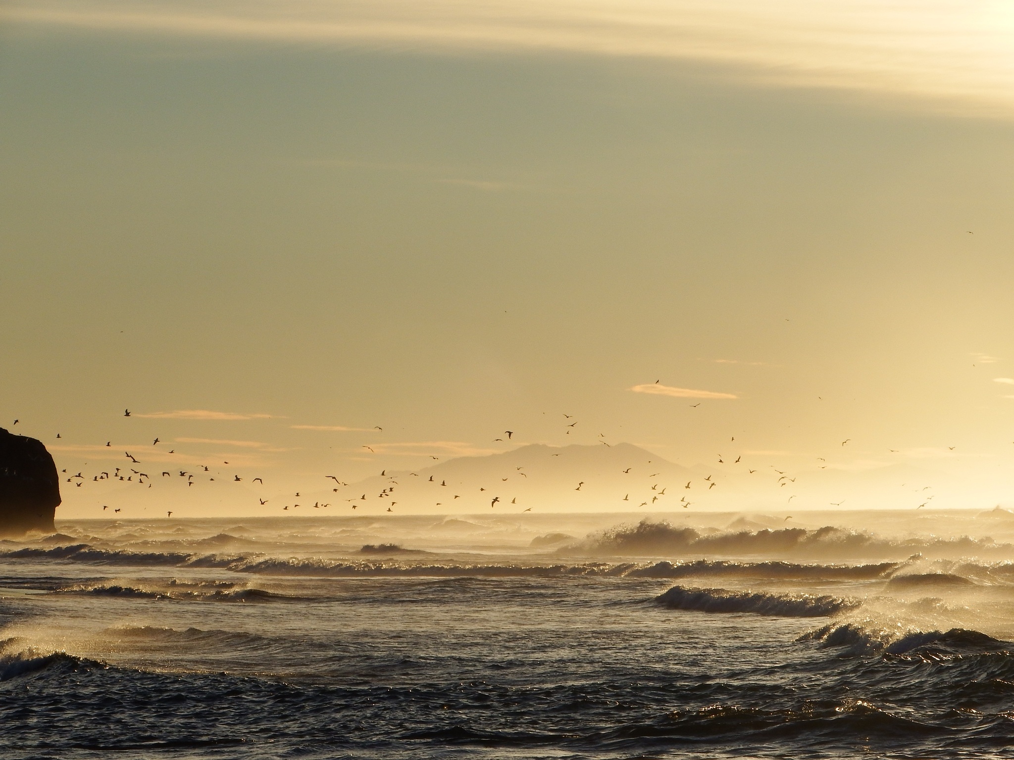The Pacific Ocean Wave Surf free image download