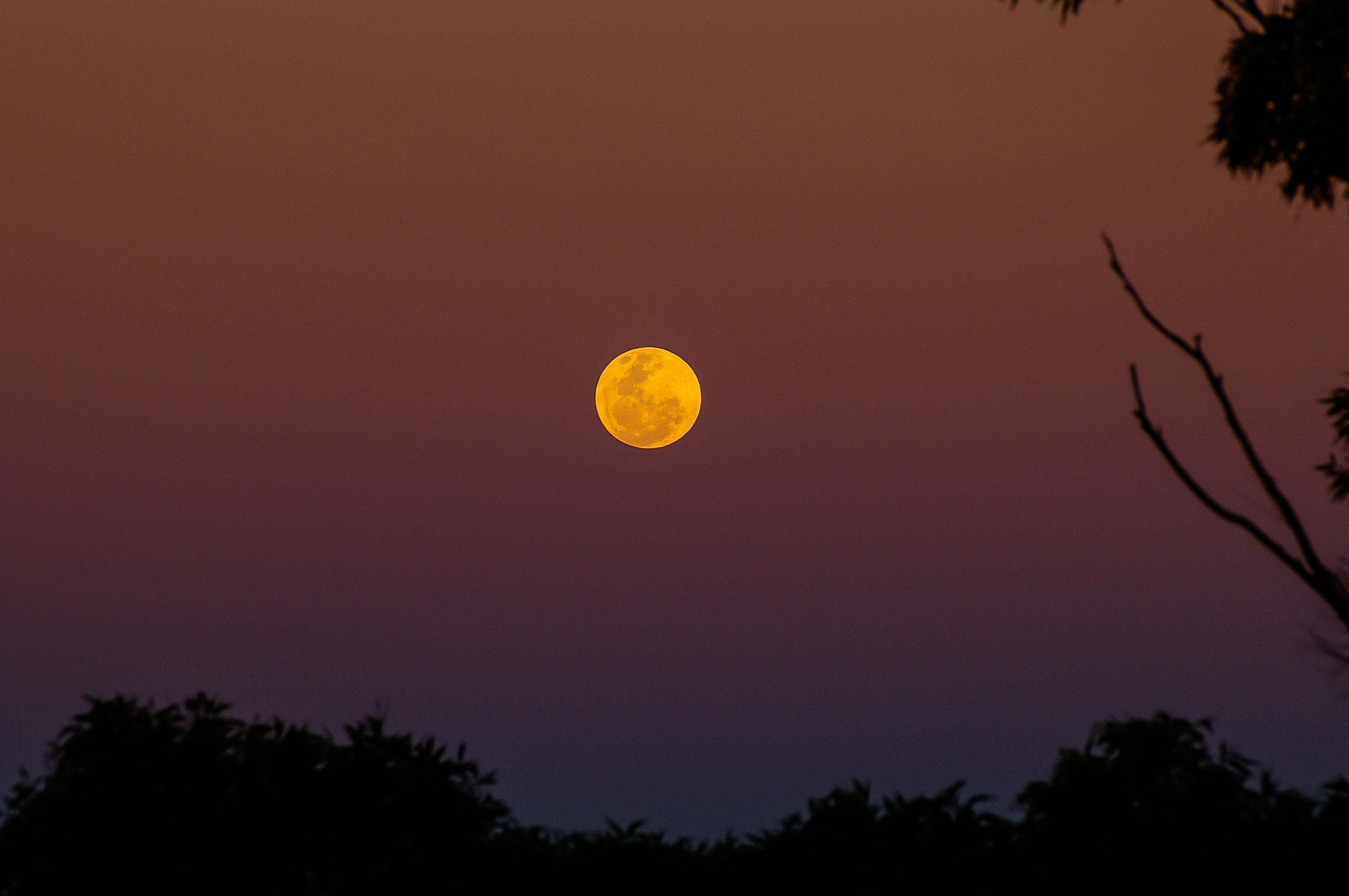 Red moon sunset free image download