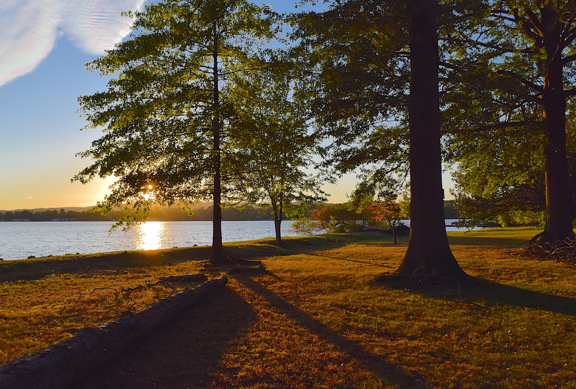 Sunset Tree Lake free image download