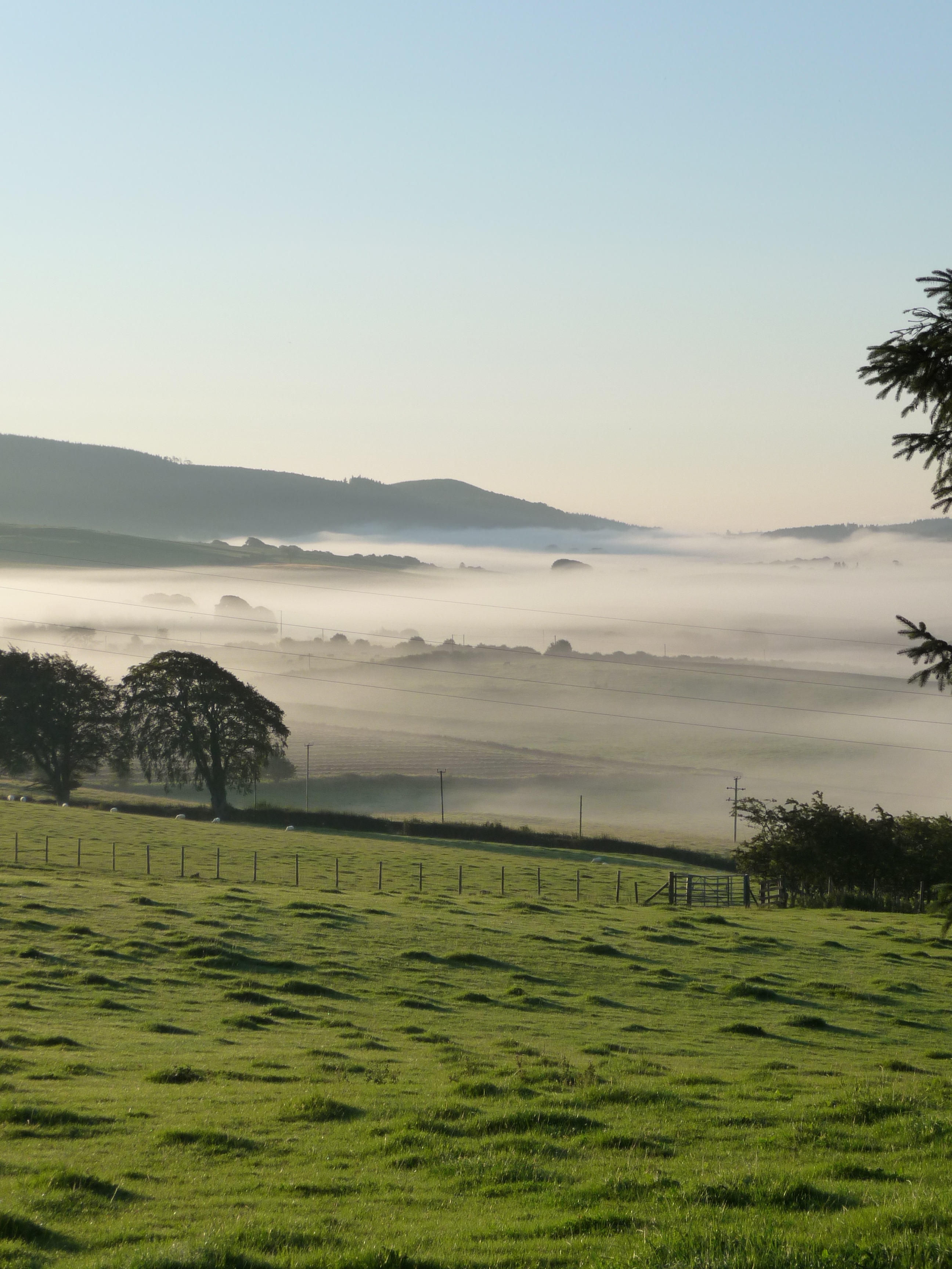 Fog Morning Dawn free image download