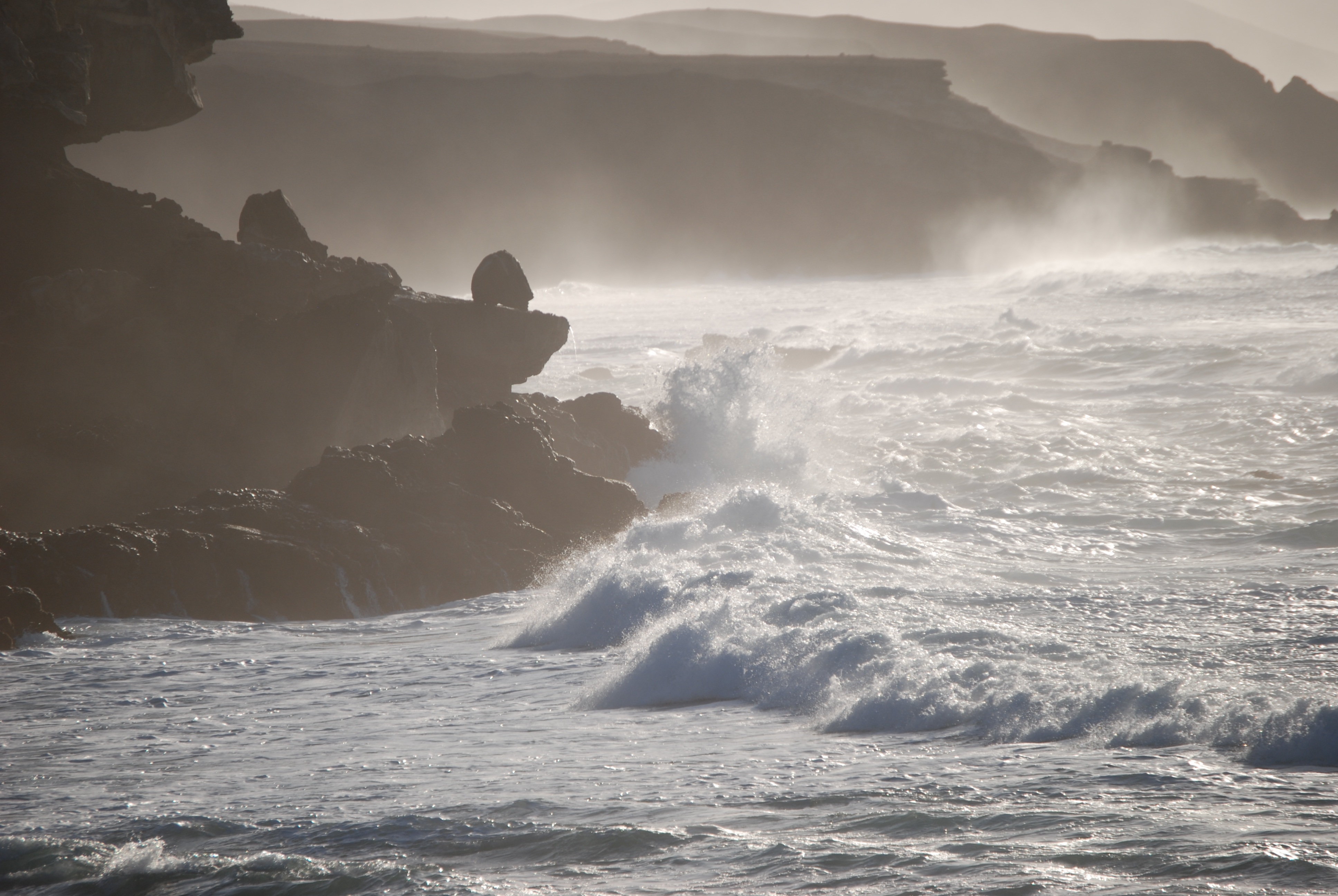 Fuerteventura Coast Sea Canary free image download