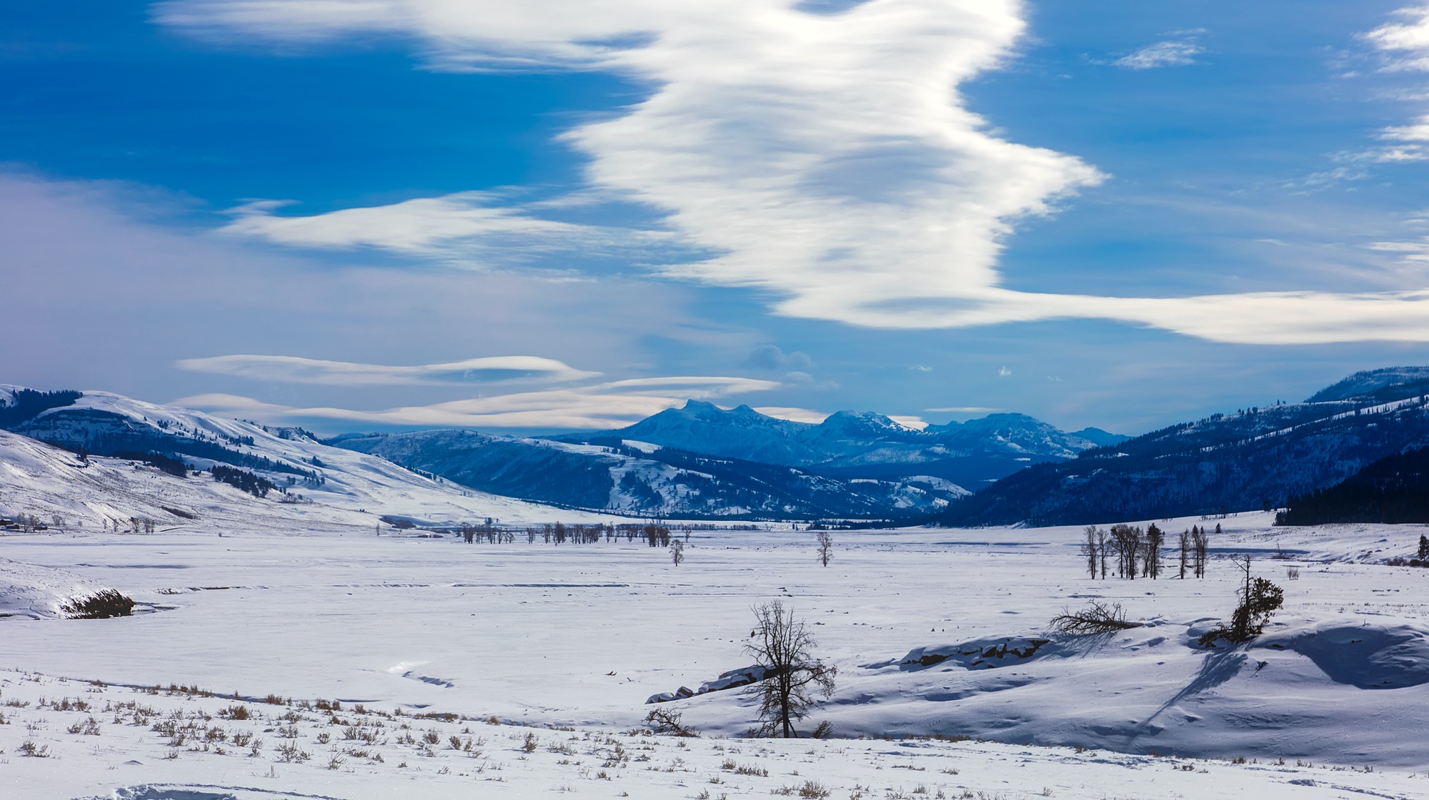 Yellowstone National Park scenic view free image download