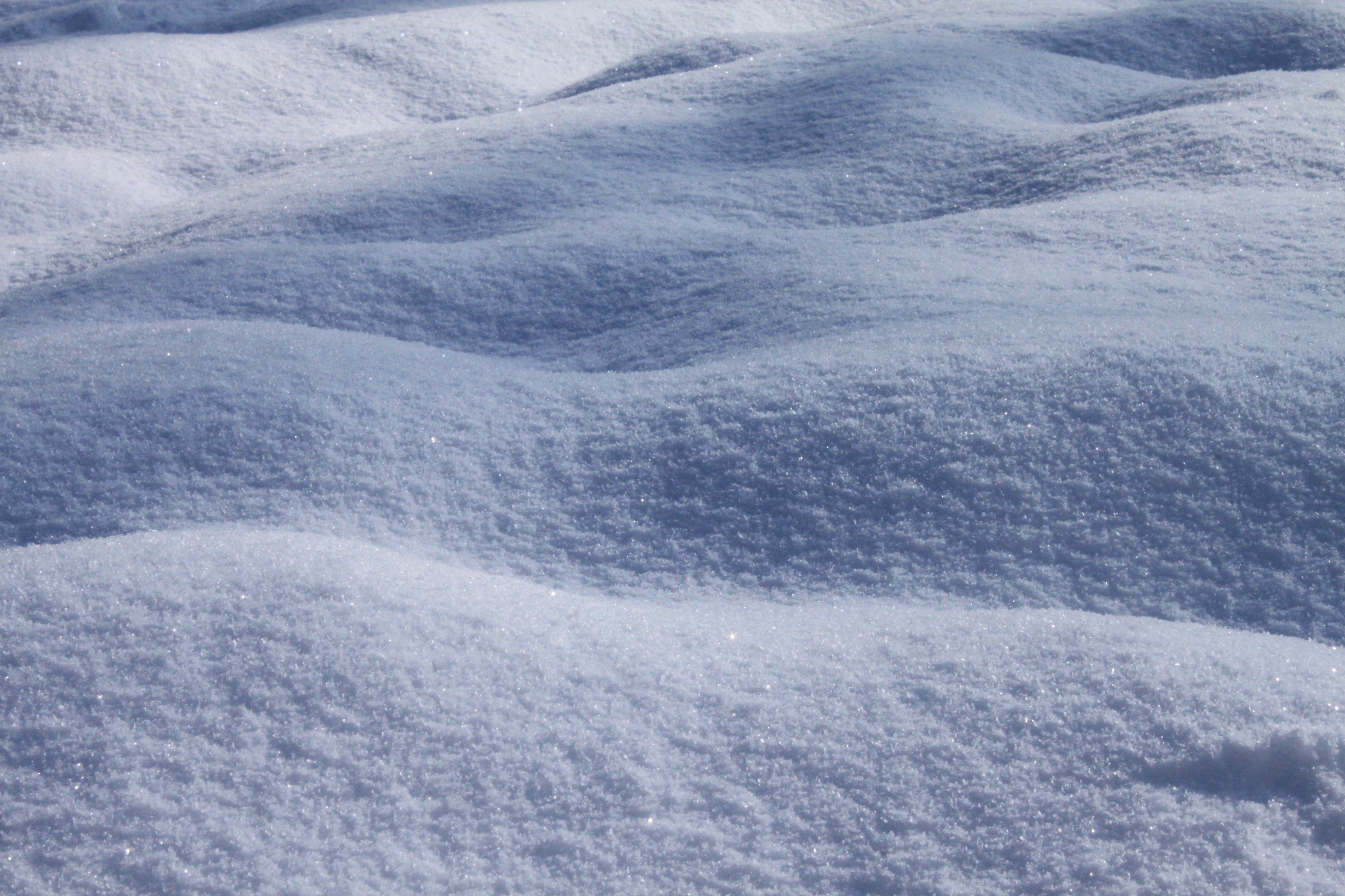 Snow Winter Snowfall free image download