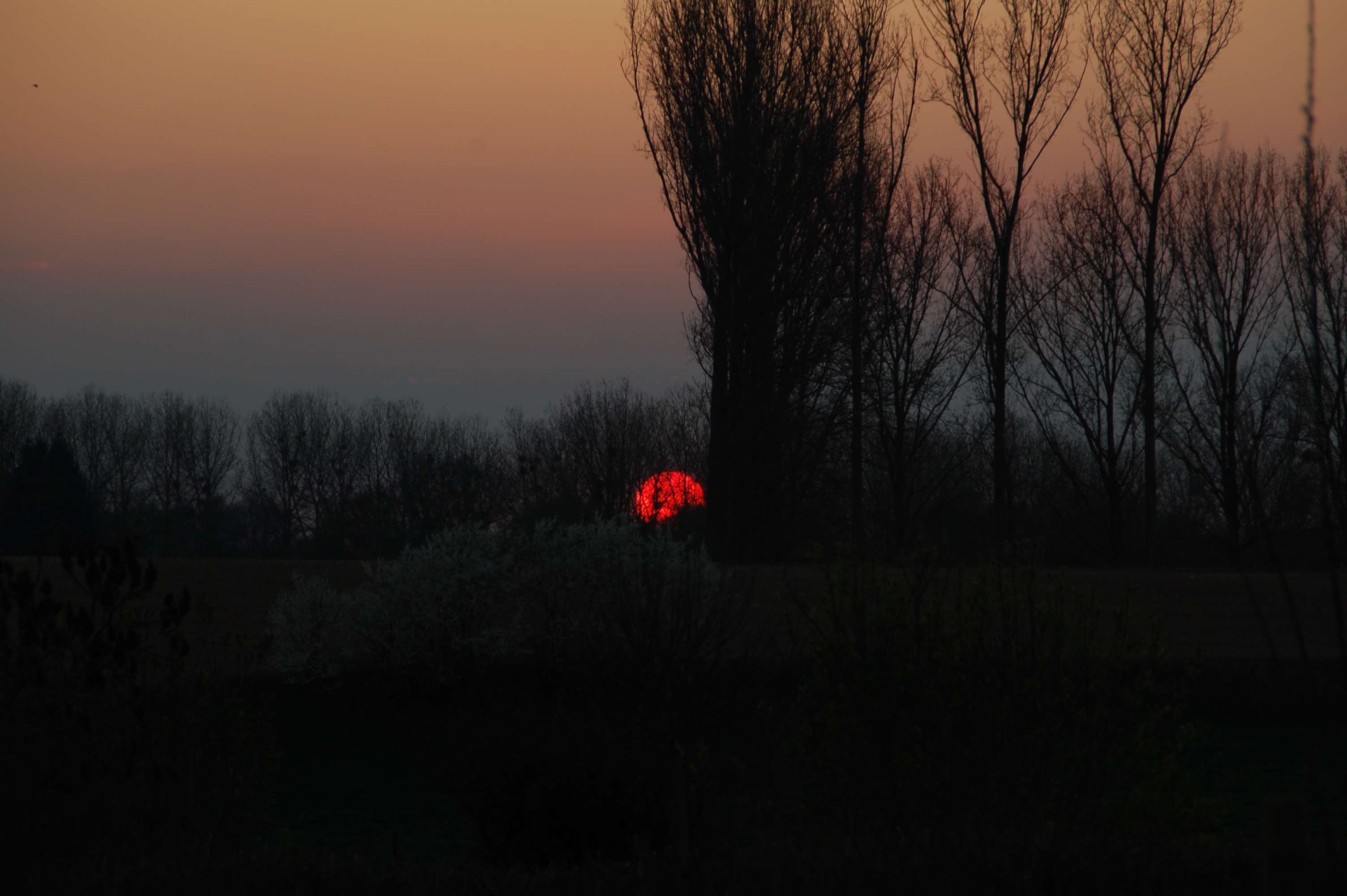 Sunset Shadow Evening free image download