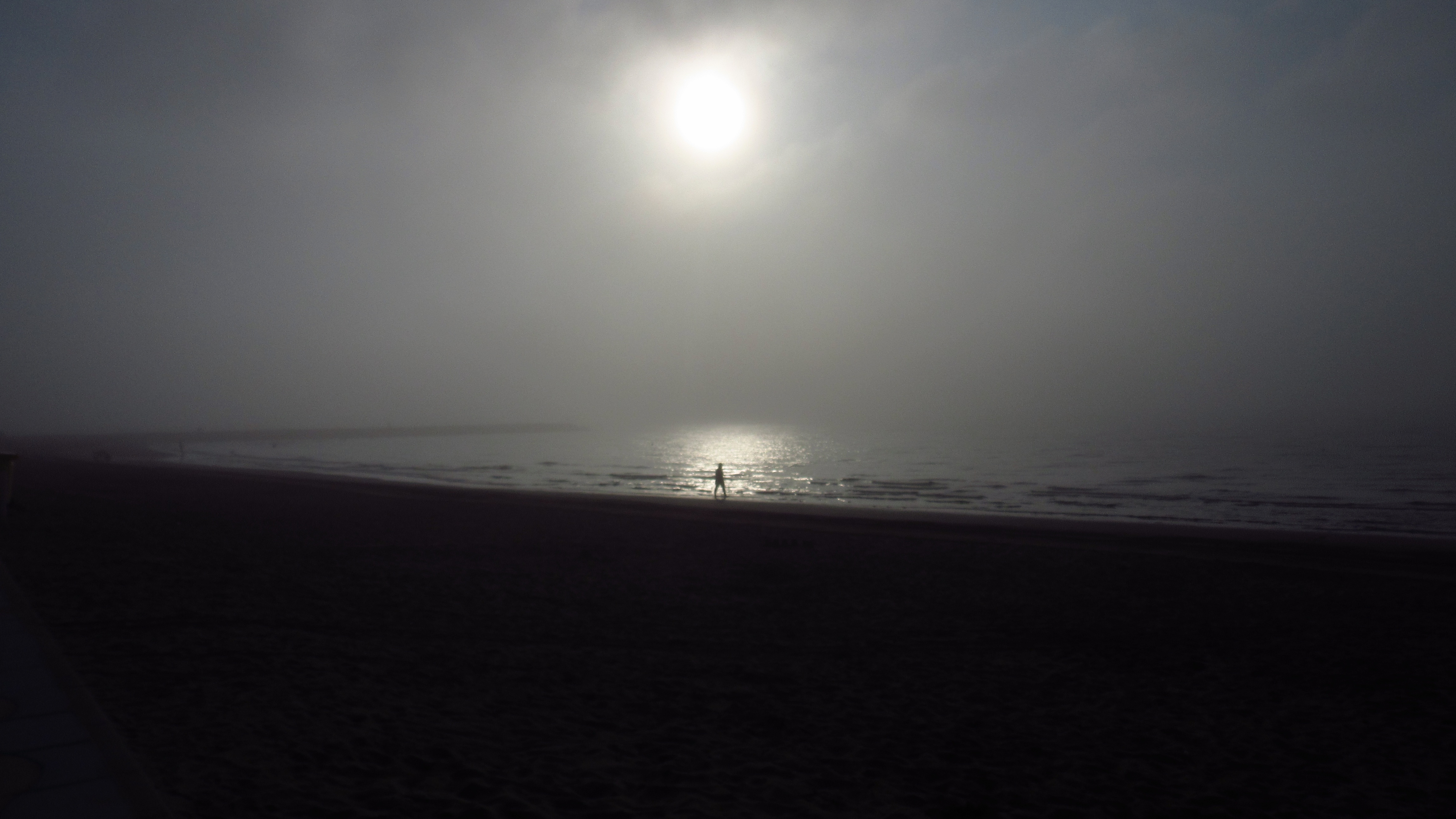 Fog Beach Mood free image download