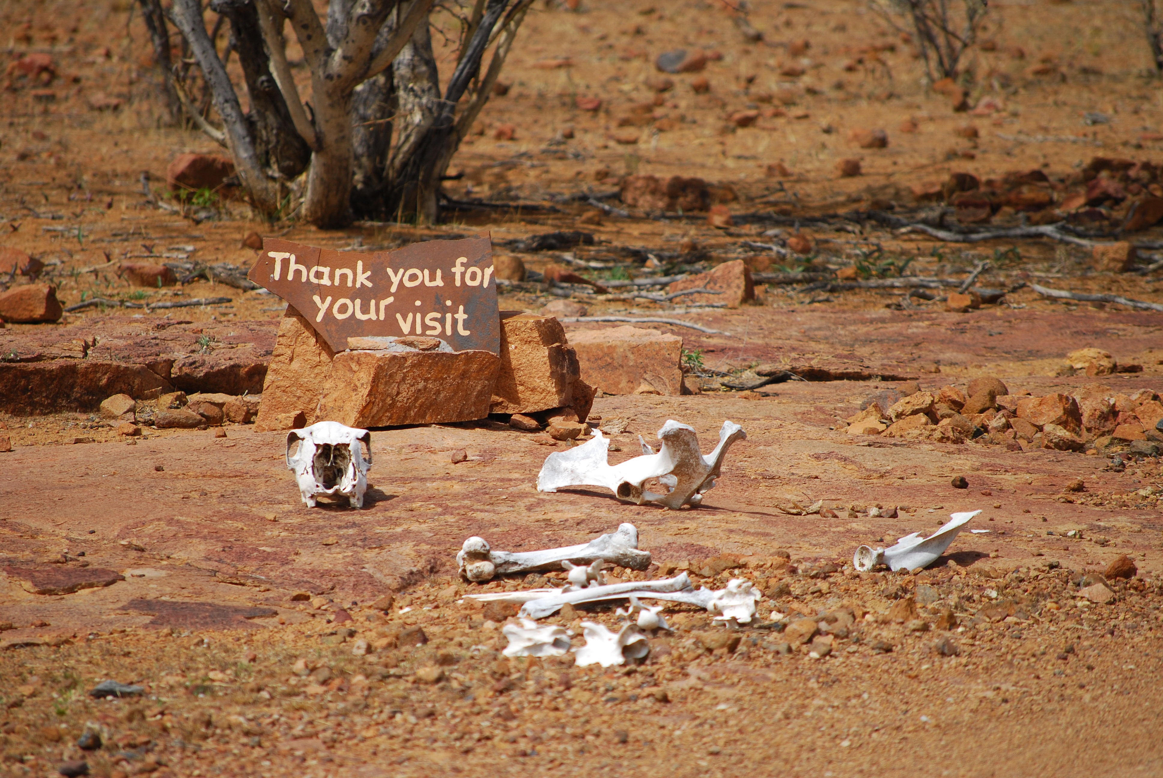 Welcome Good Bye Bone free image download