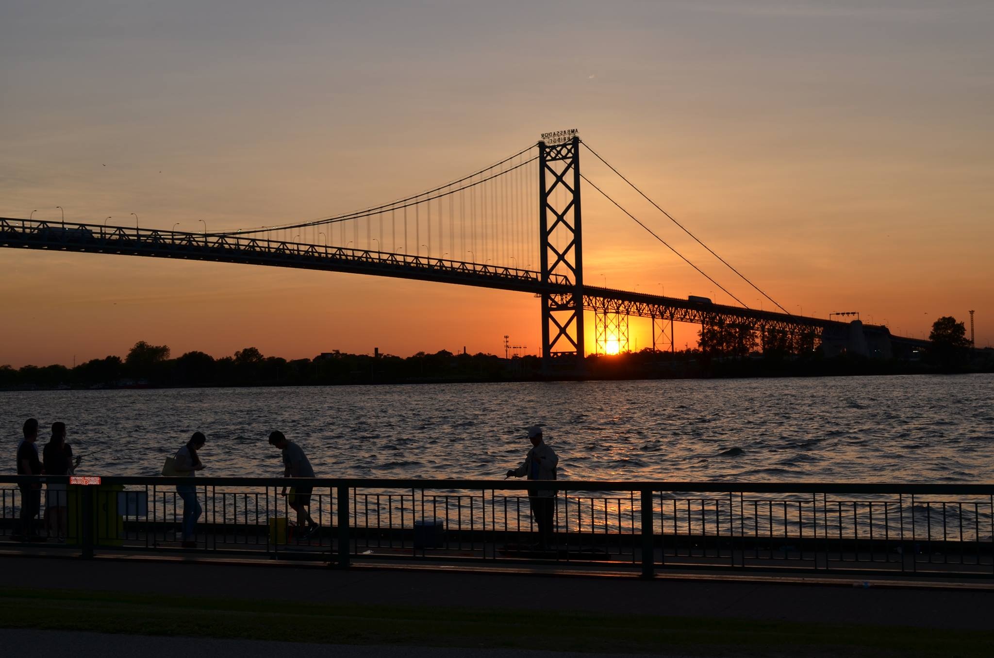 Bridge Water Suspension free image download