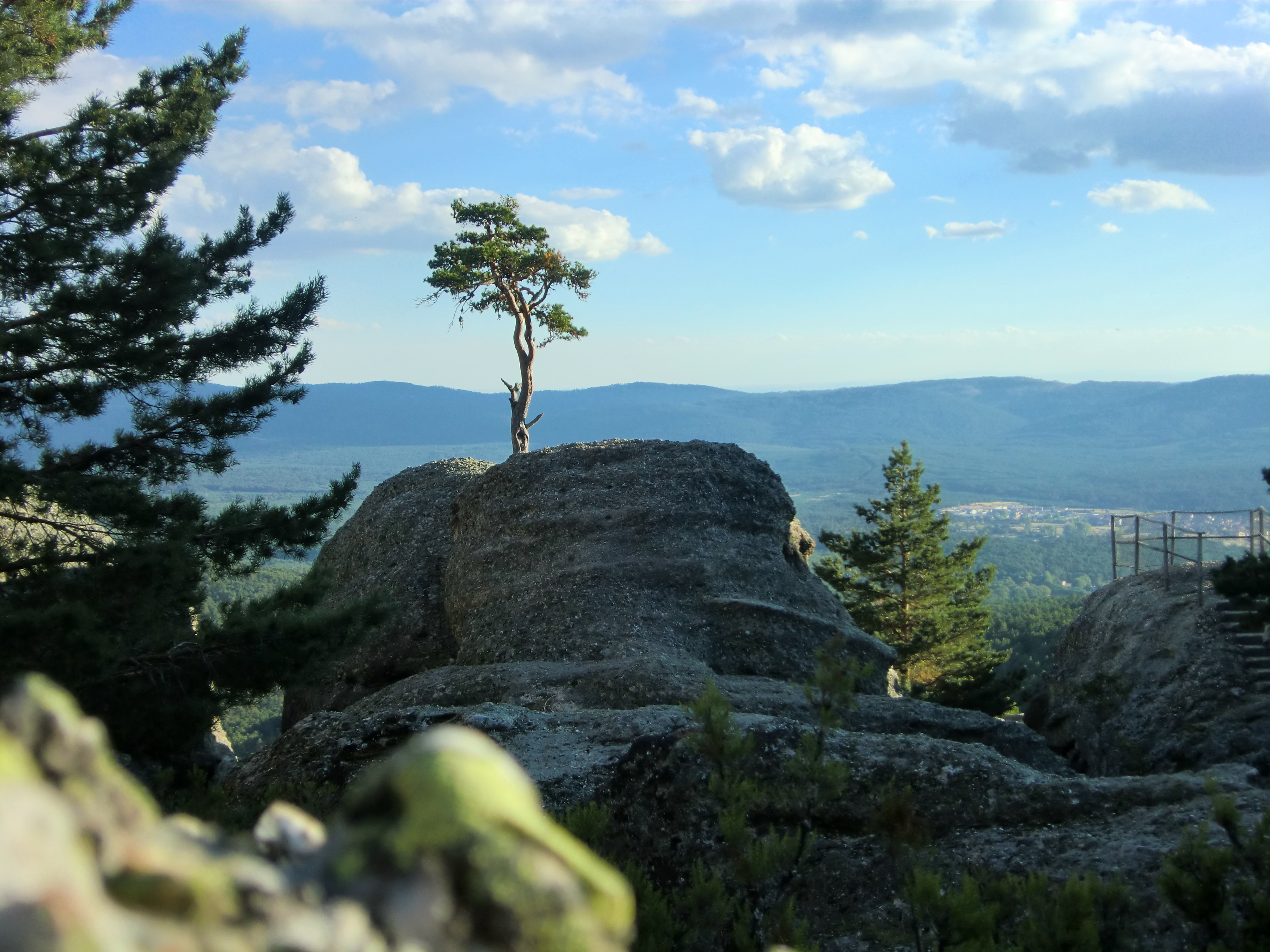 Landscape Tree Peace free image download