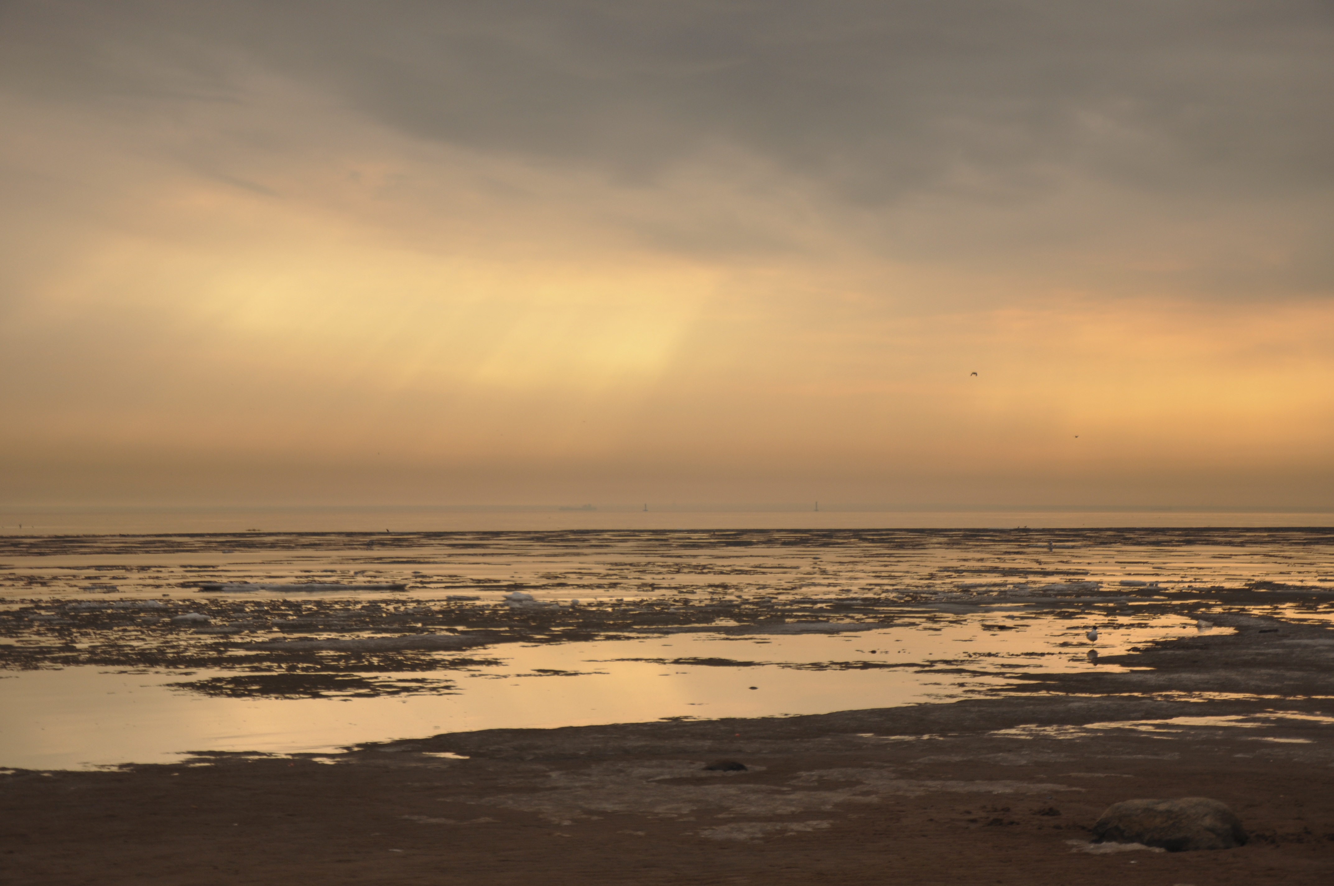 Sunset Water No One free image download