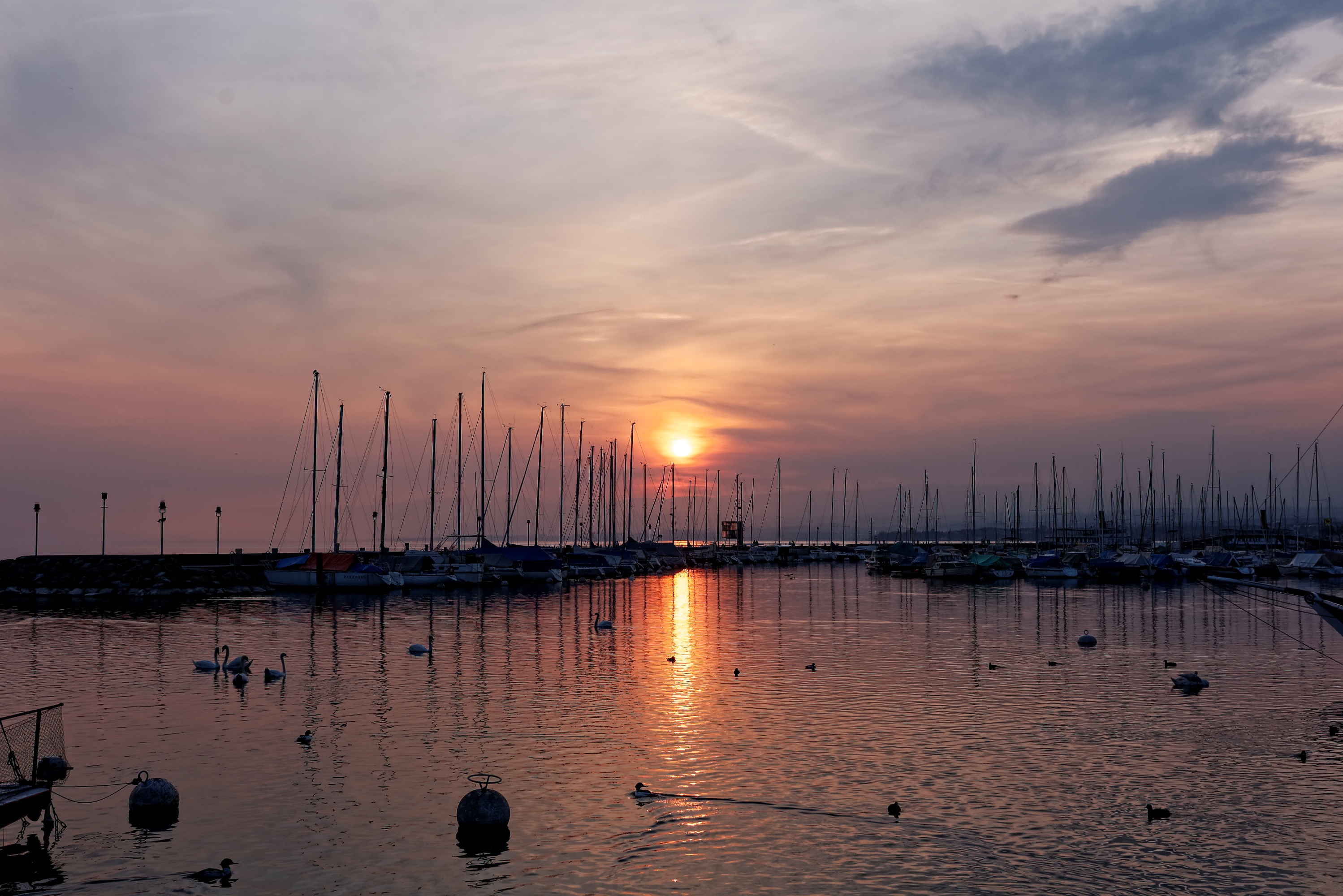 Ouchy Sunset Lausanne free image download
