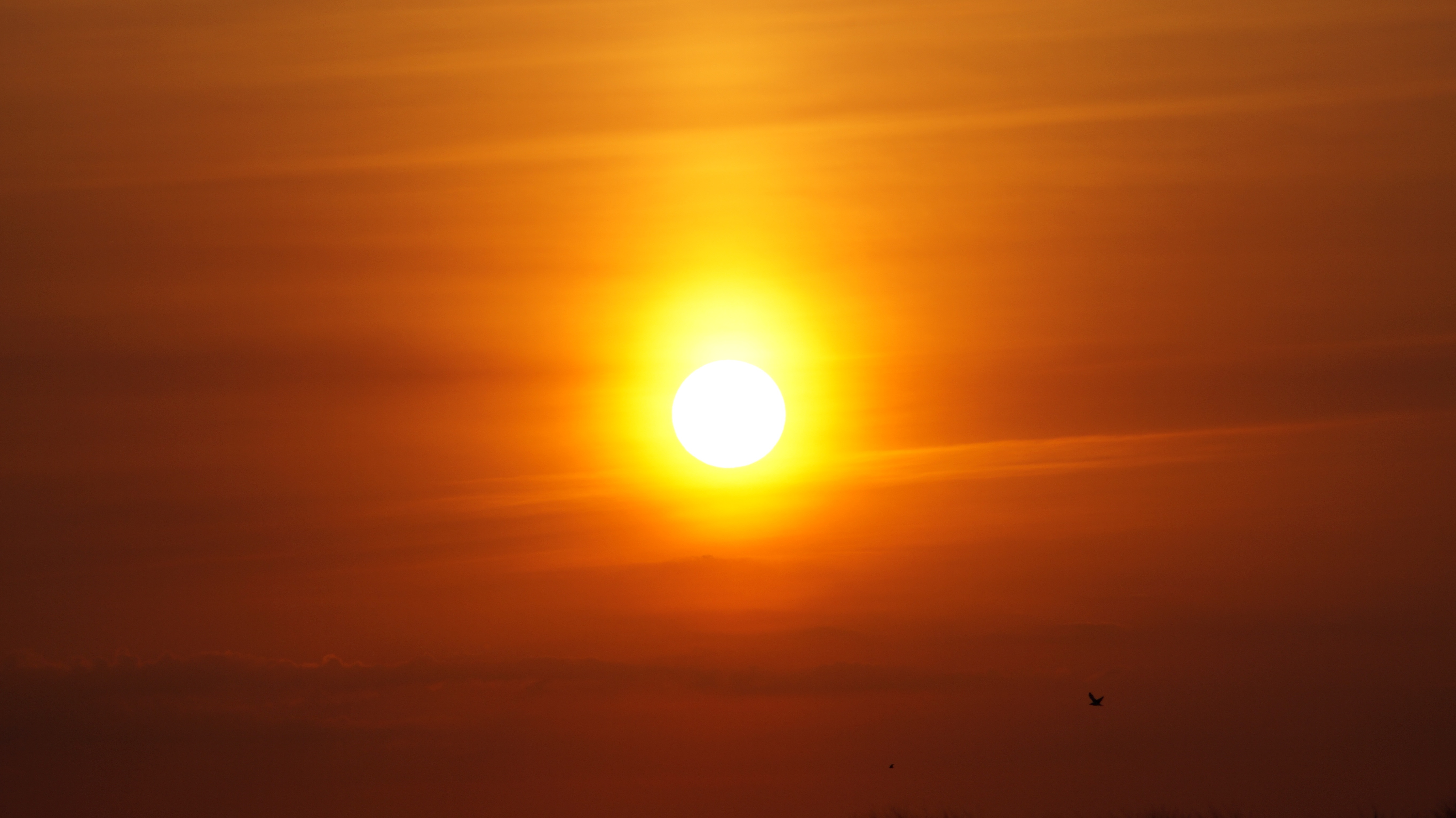 Sun Nature Sky free image download