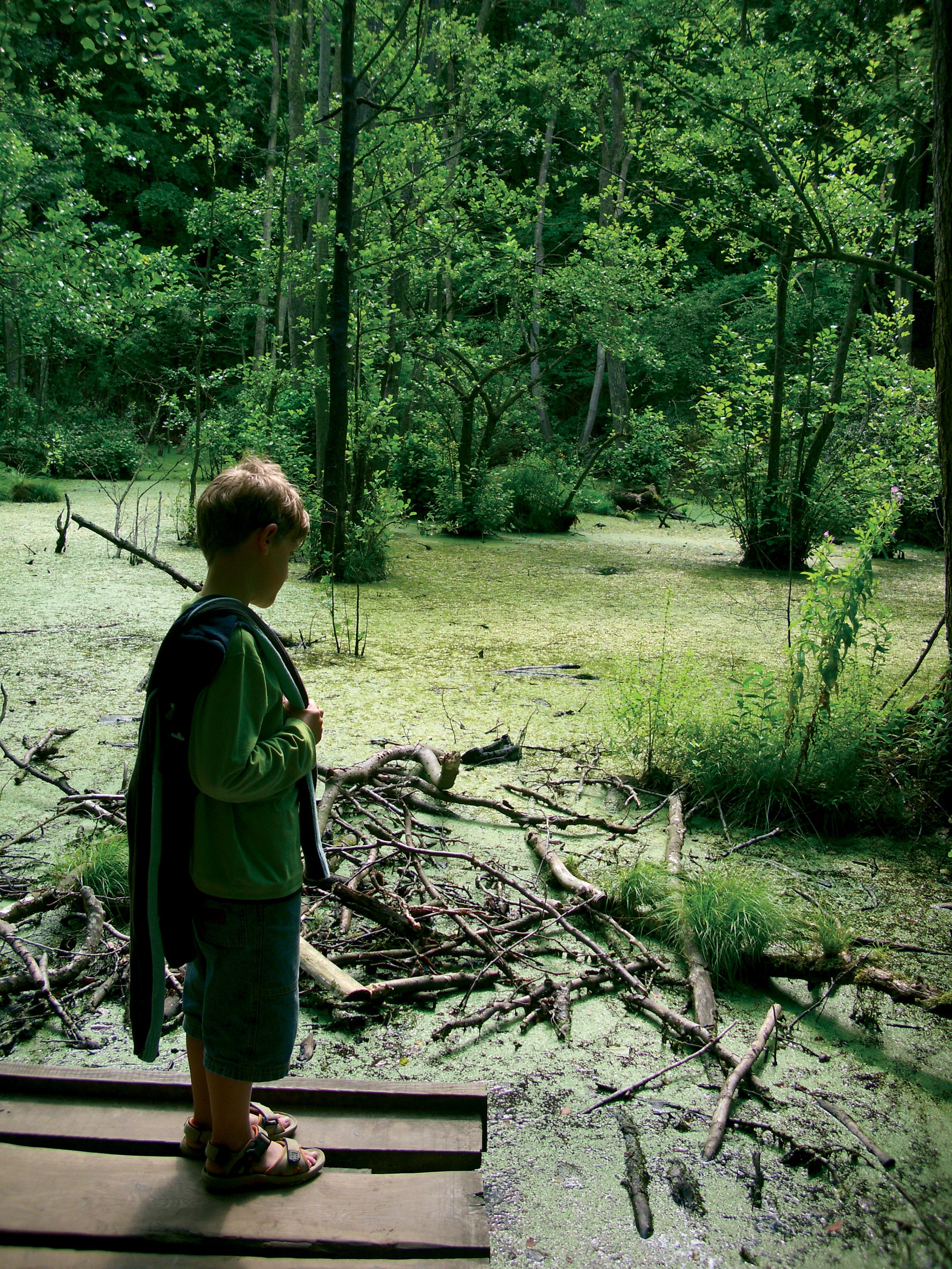 Nature See Child free image download