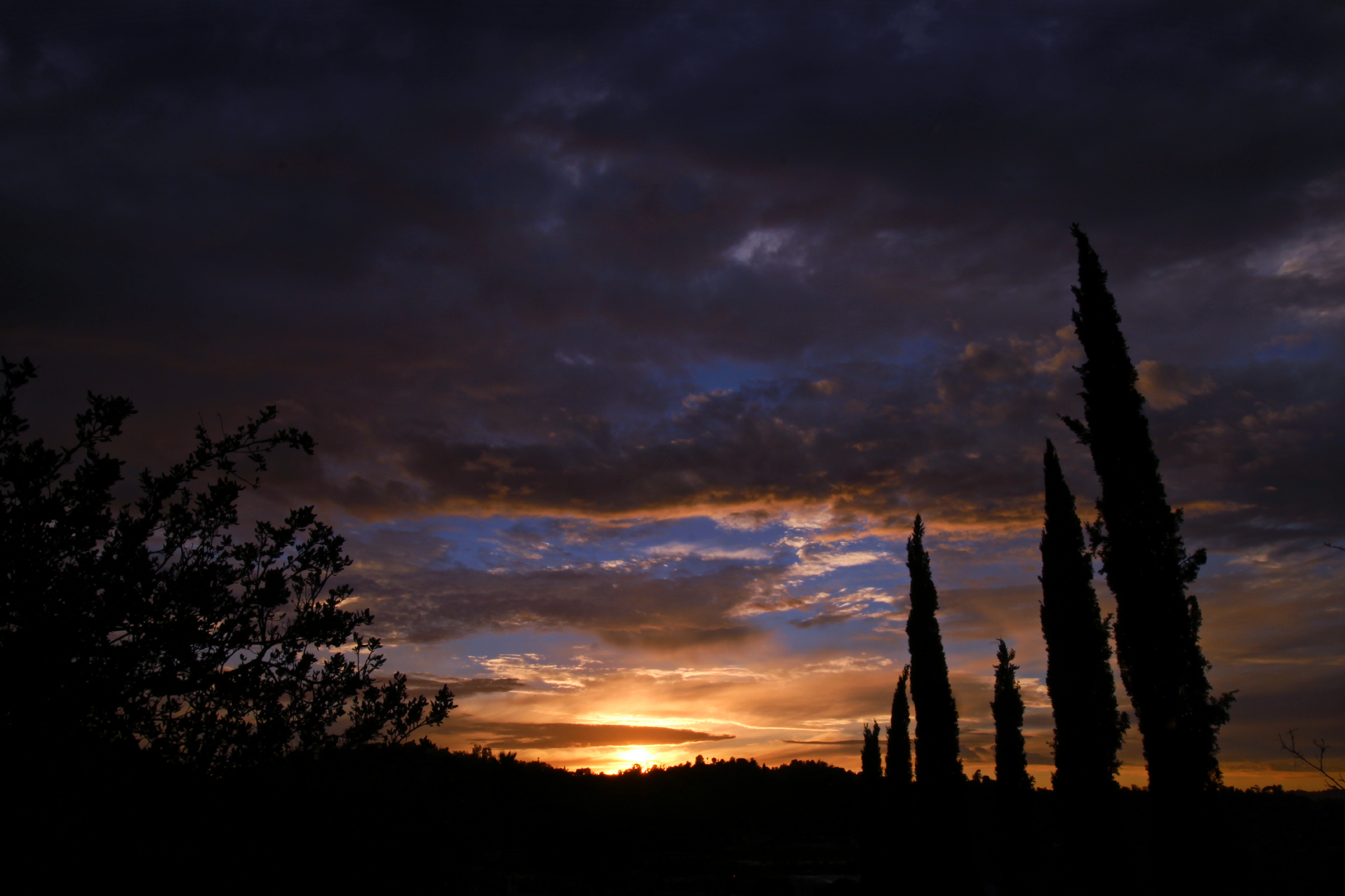 Mystical sunset in the garden free image download