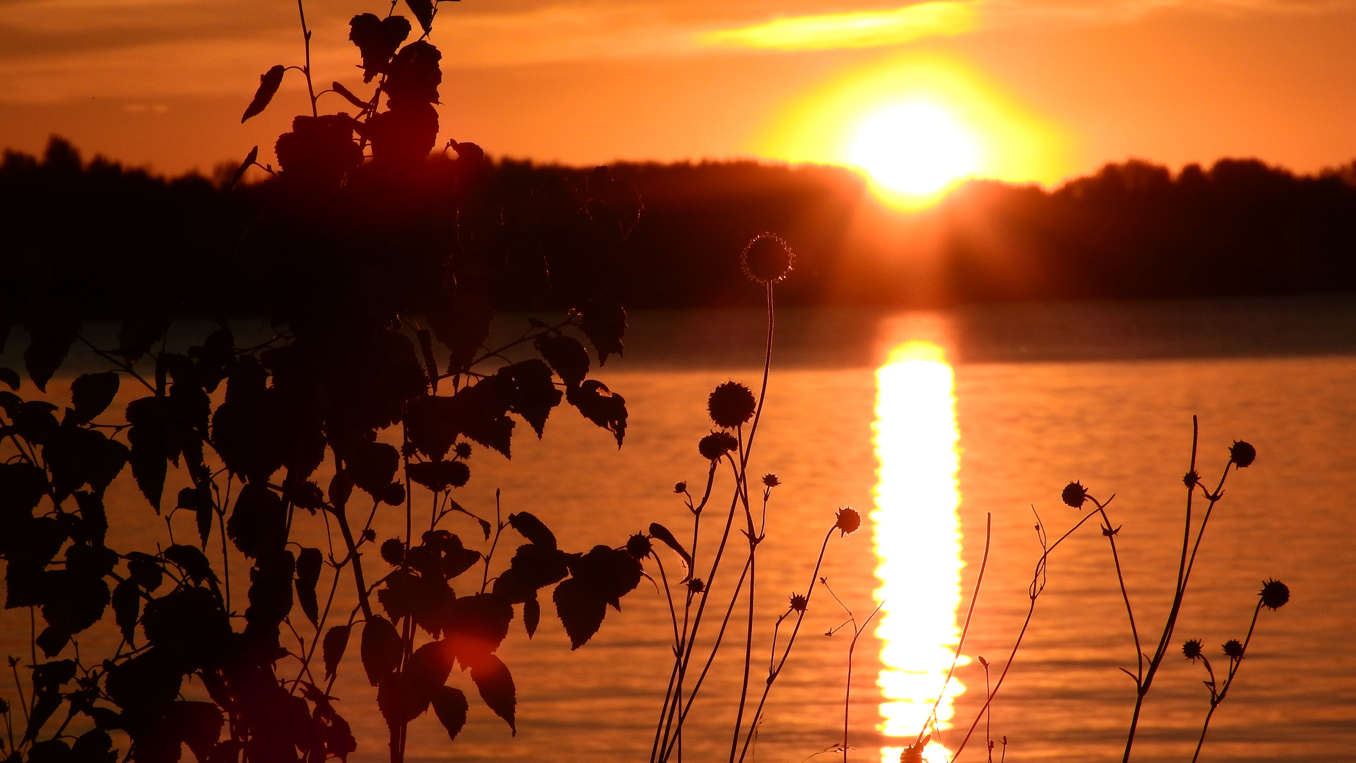 Sunset Lake Pond Evening free image download