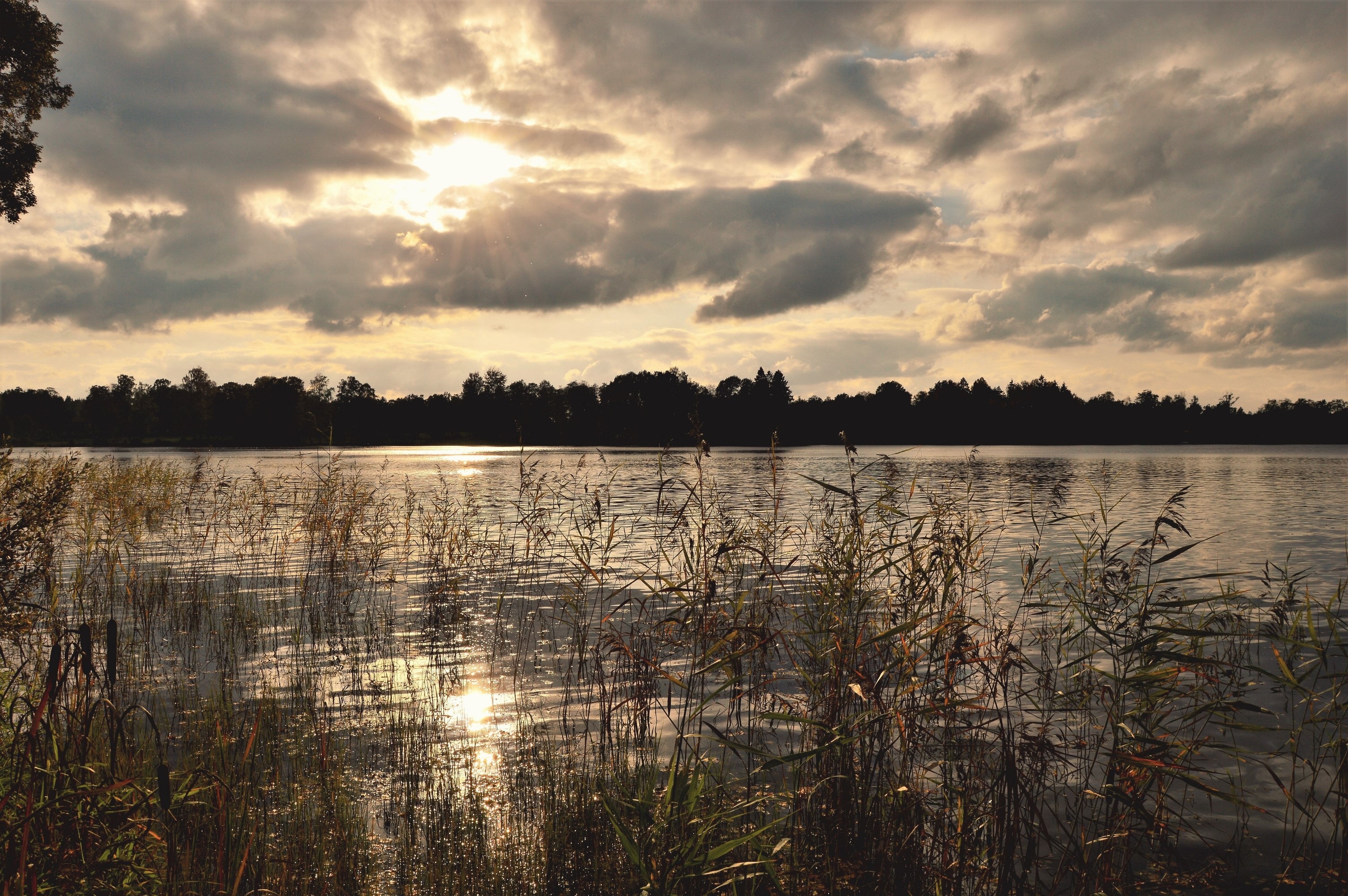 Lake Water Views free image download