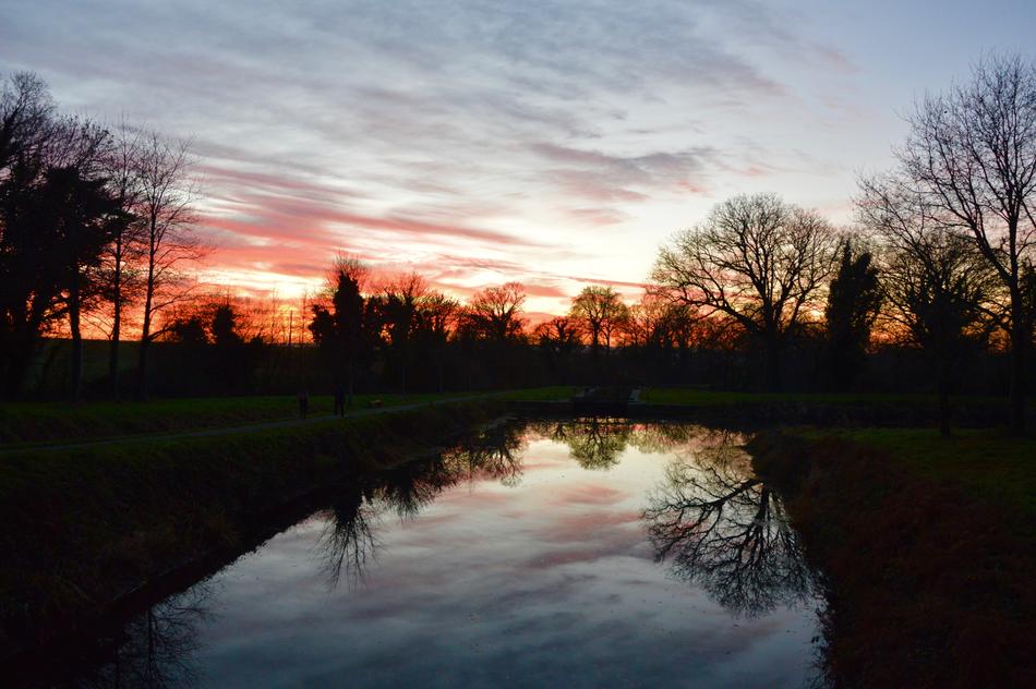 Sunset River Trees free image download