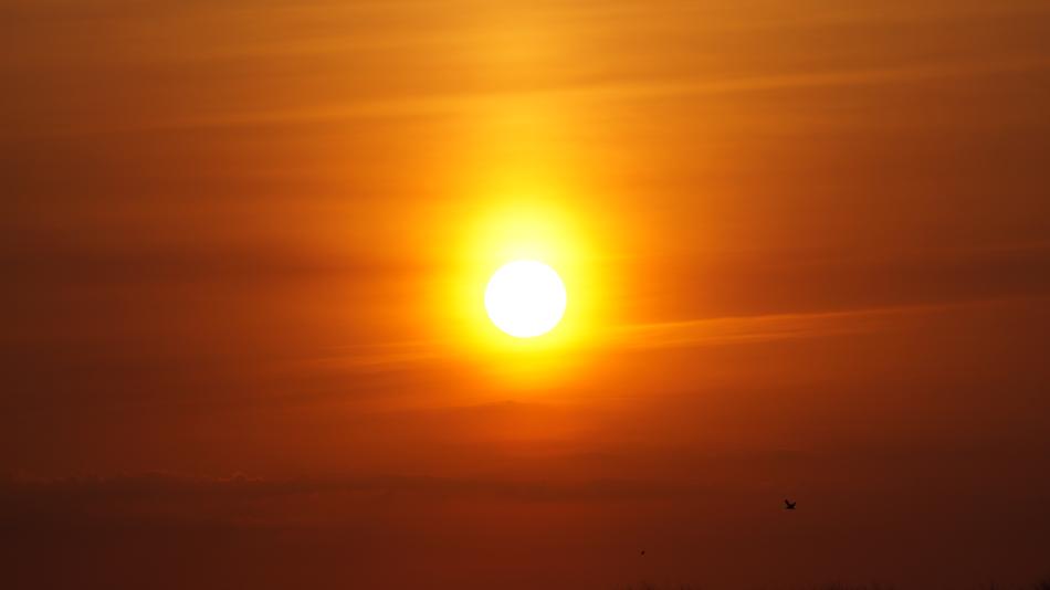 Sun Nature Sky free image download