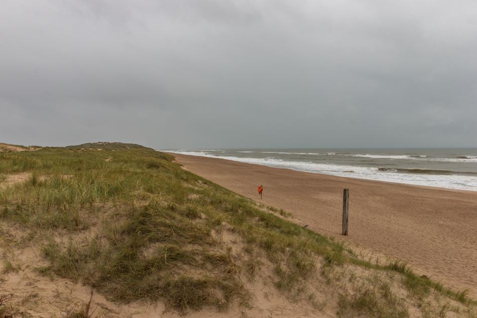 Sea Dunes Beach free image download