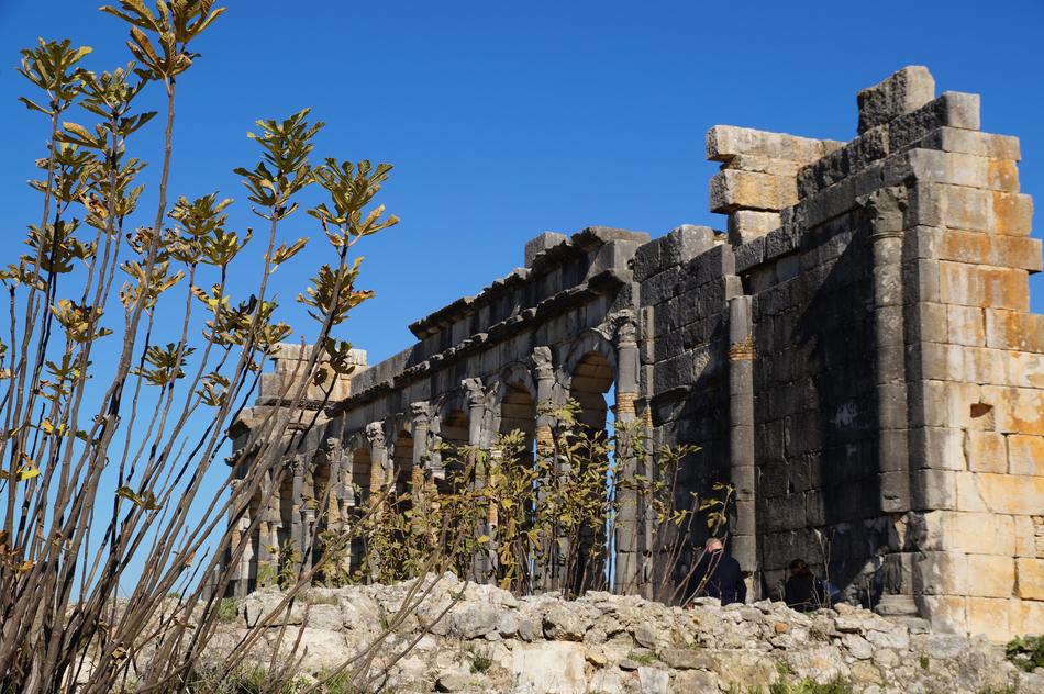 Ruins Volubilis Architecture free image download