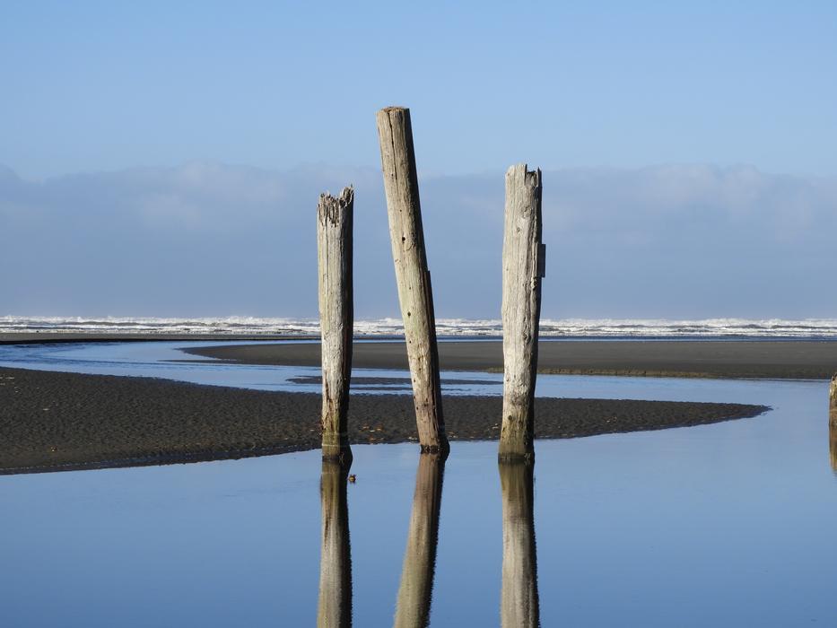 Beach Sea Piling free image download