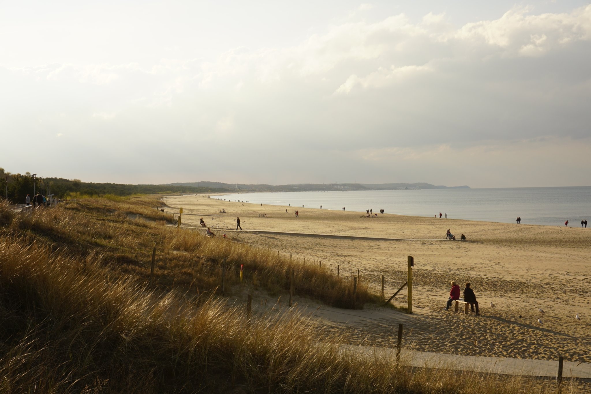 Baltic Sea nature free image download