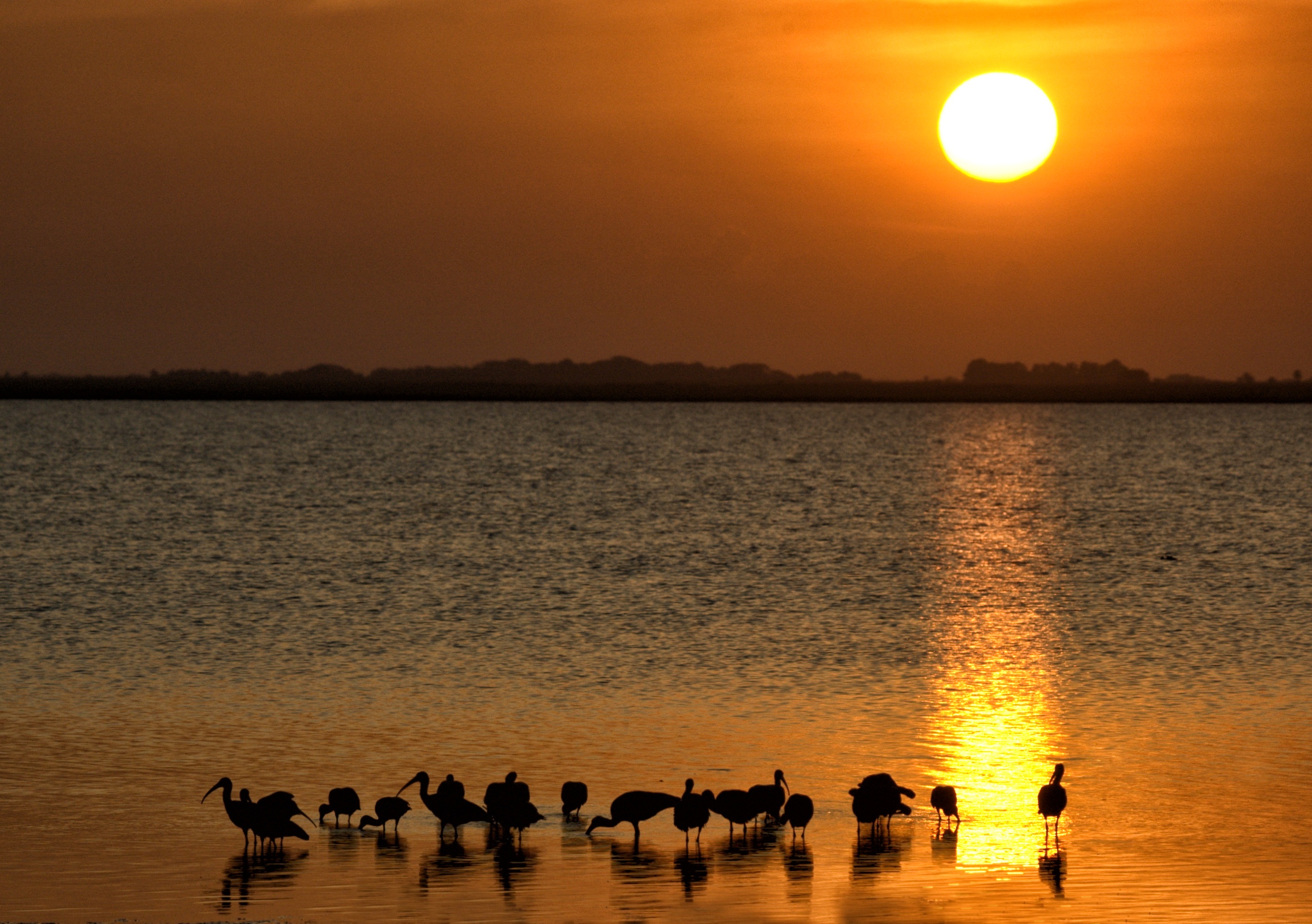 Ibis Sunset Beach free image download