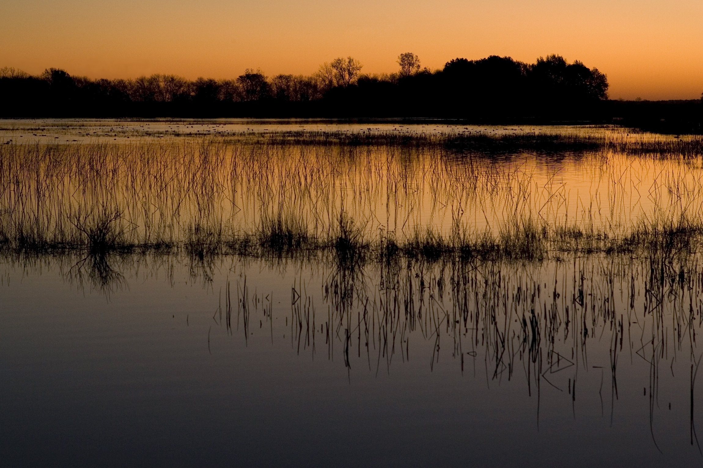 Wetlands lake at Sunset Landscape free image download