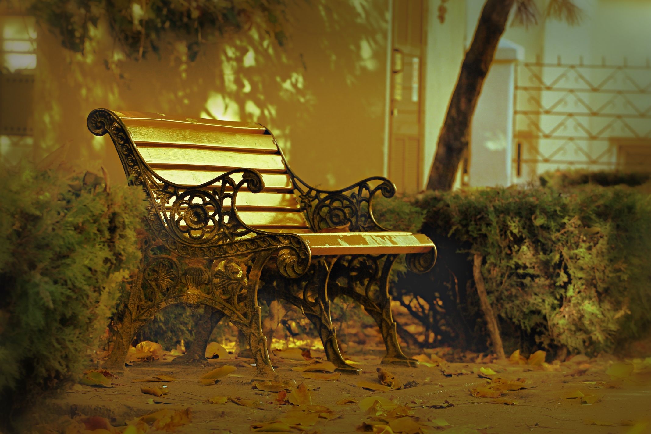 Bank Autumn Romantic free image download