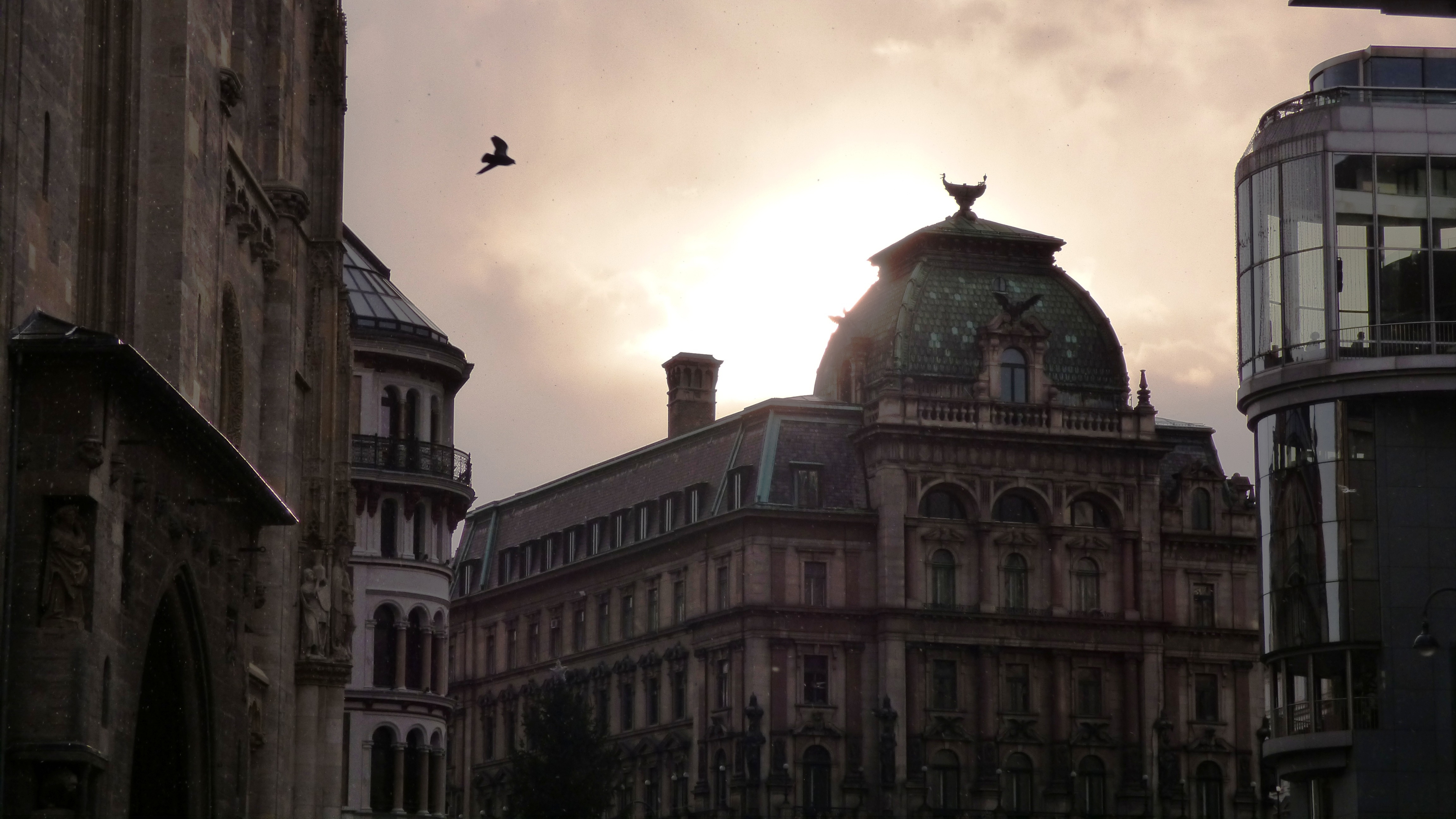 Austria Vienna Sunset The free image download