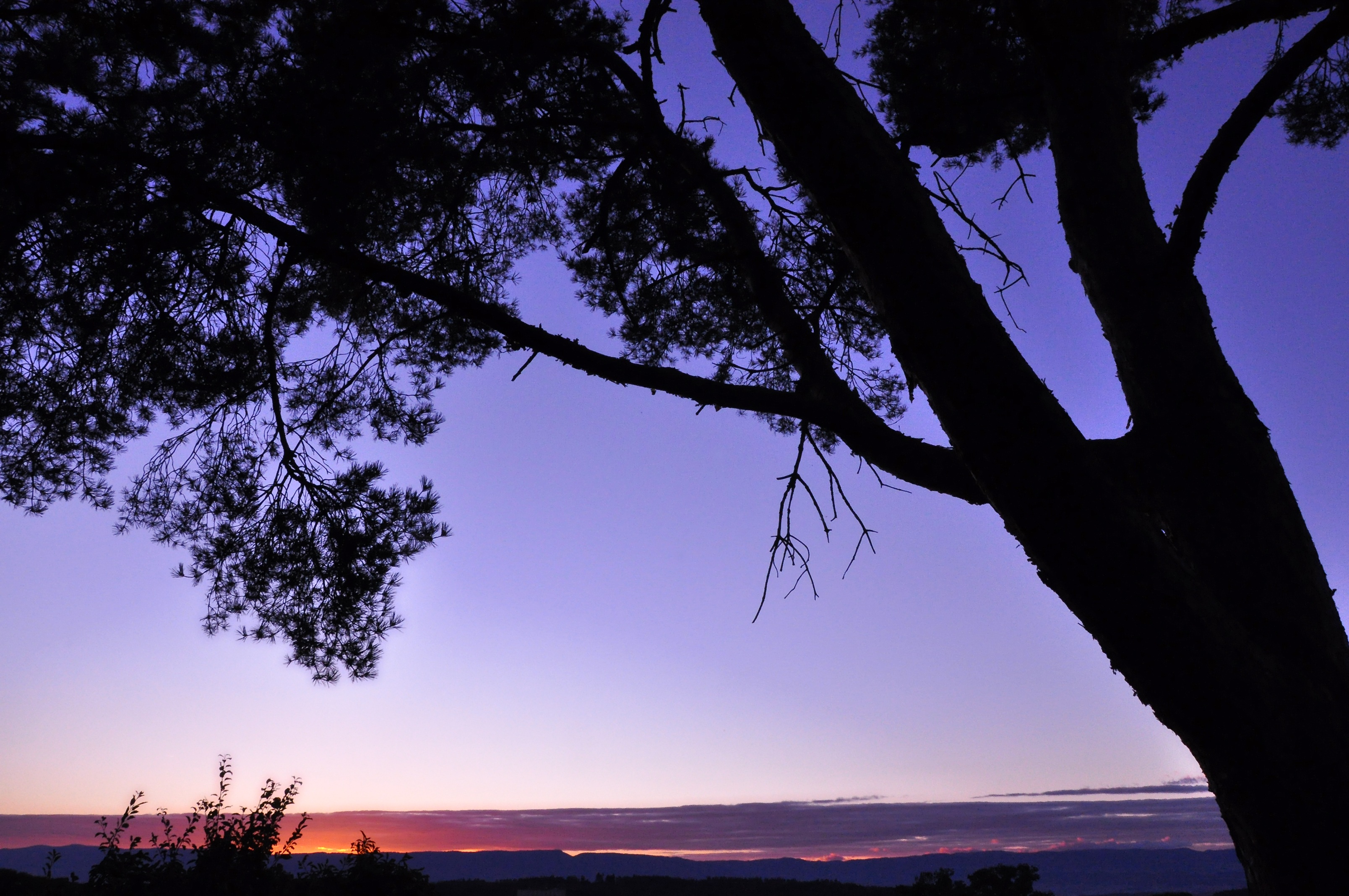 Dusk Evening Sunset free image download