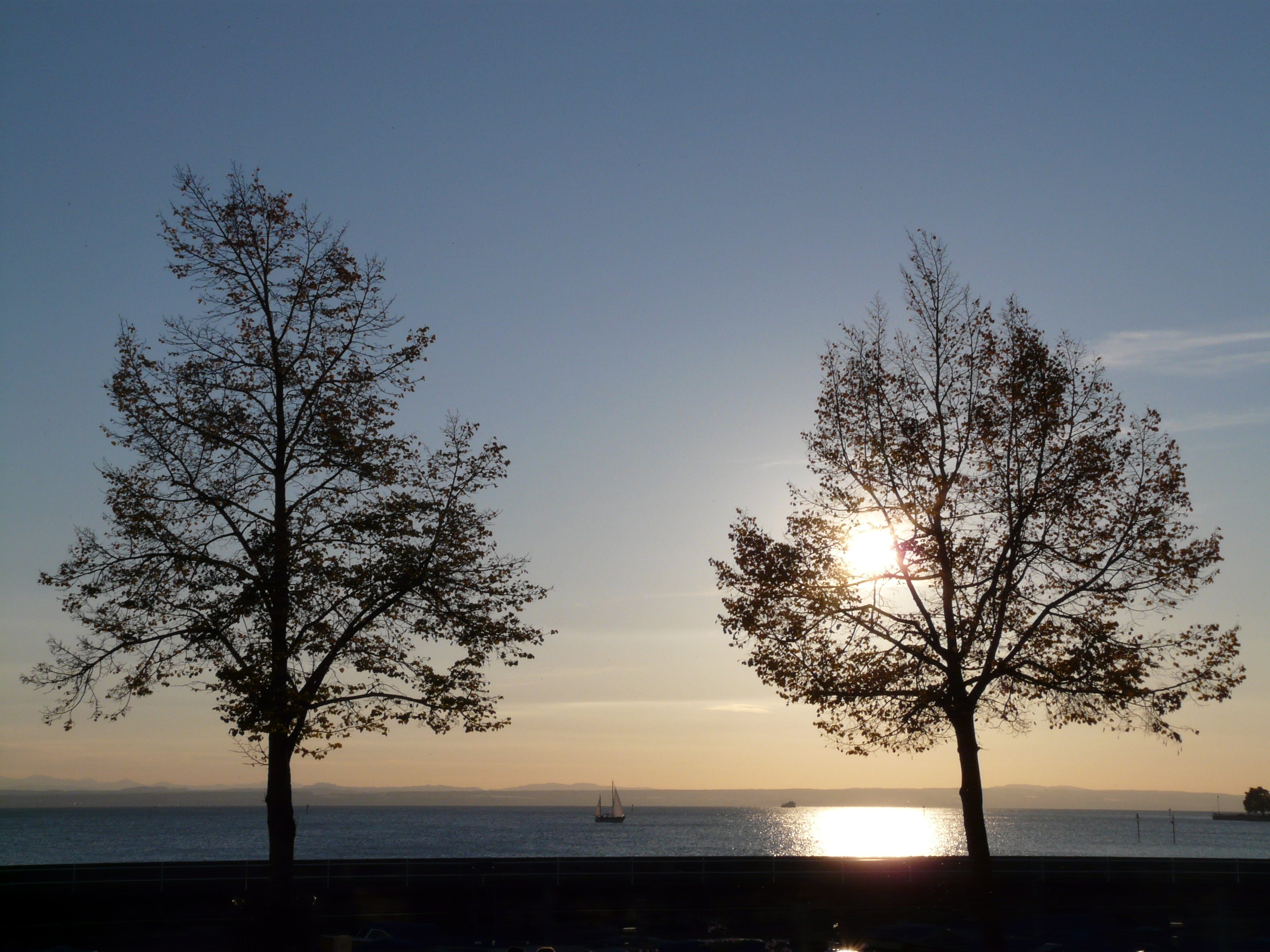 Sunset Trees Water free image download