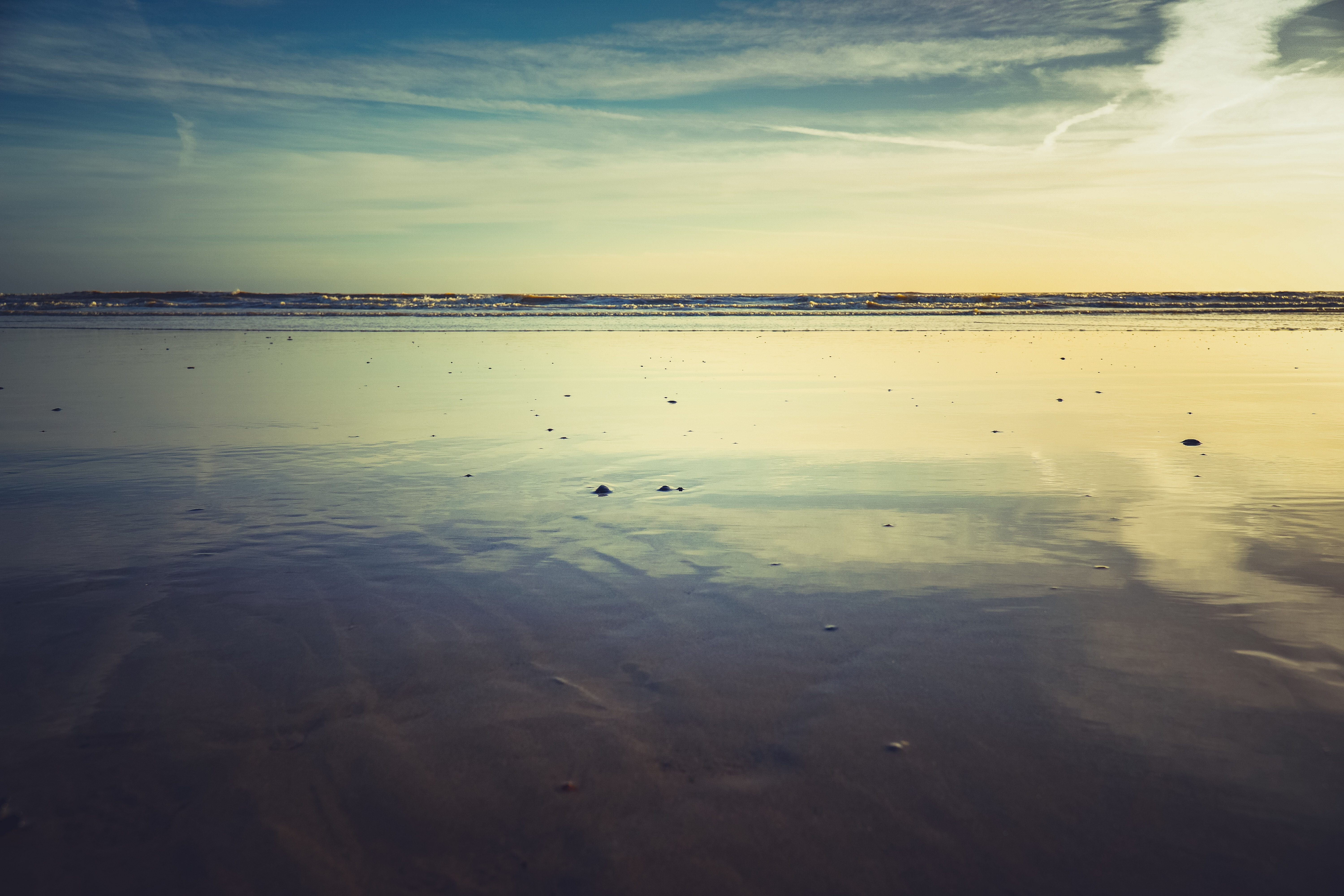 Nature Beach Shore free image download