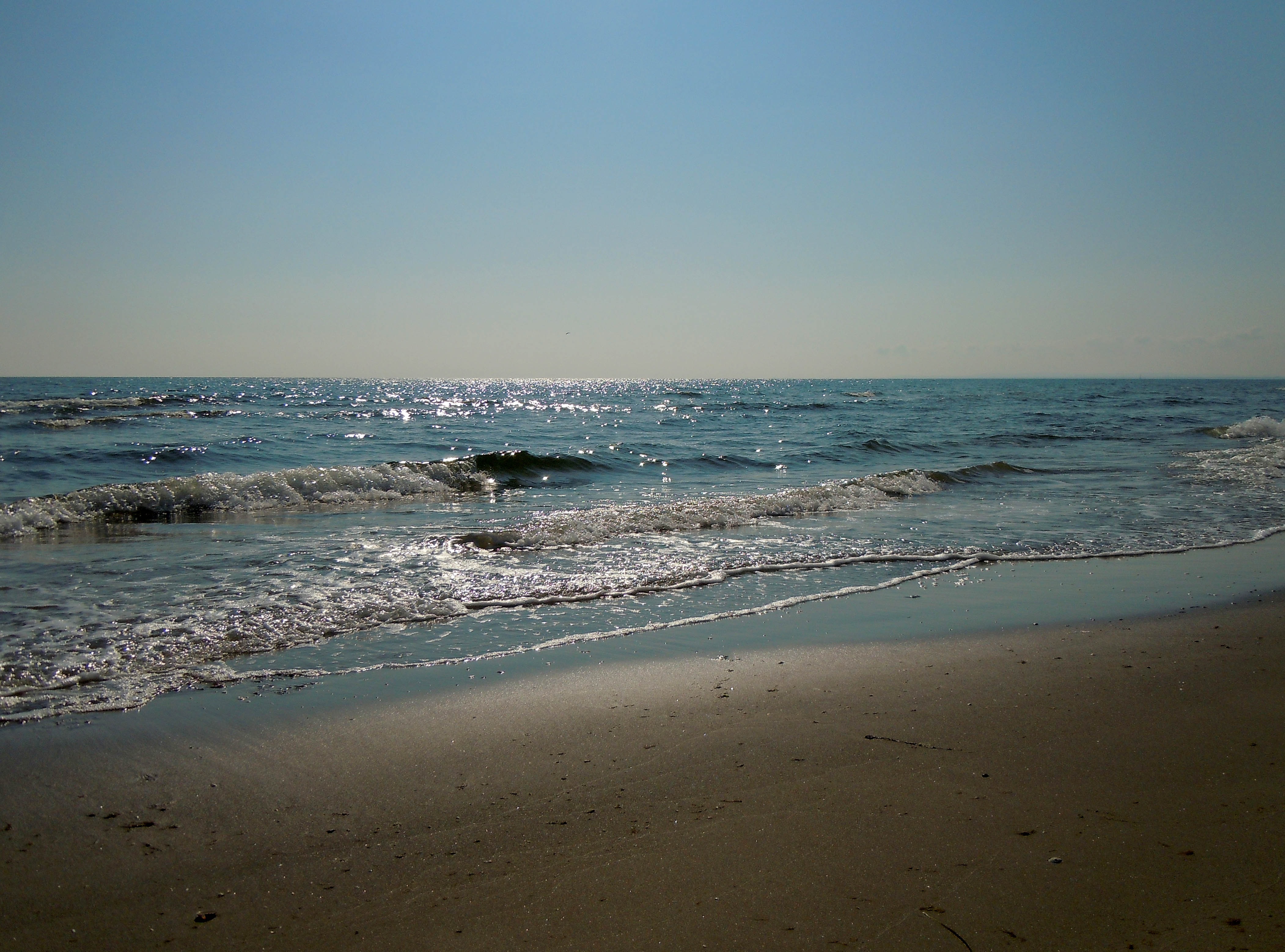 Sea Beach Morning Light free image download